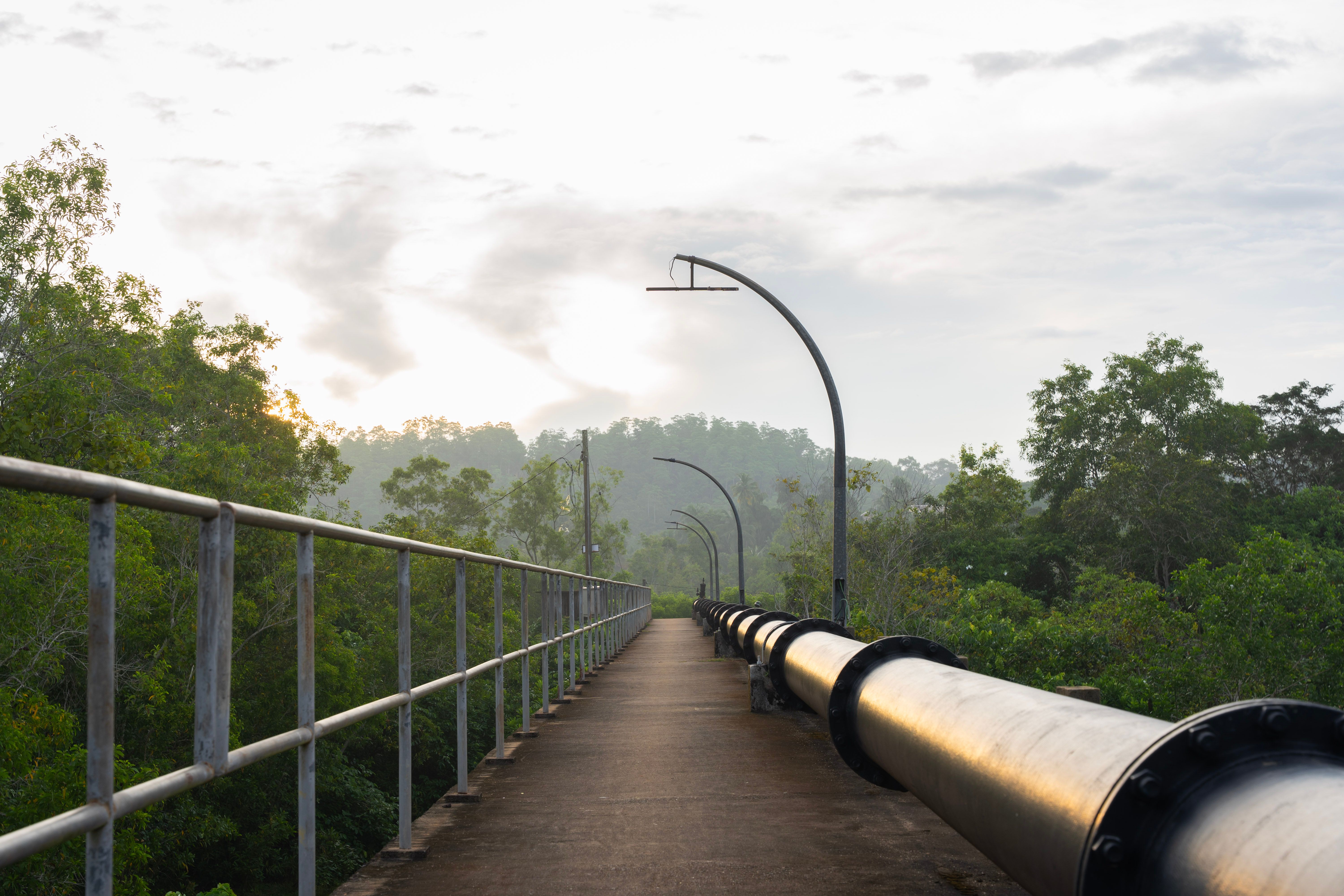 Industrial Pipeline Bridge through Lush Greenery · Free Stock Photo