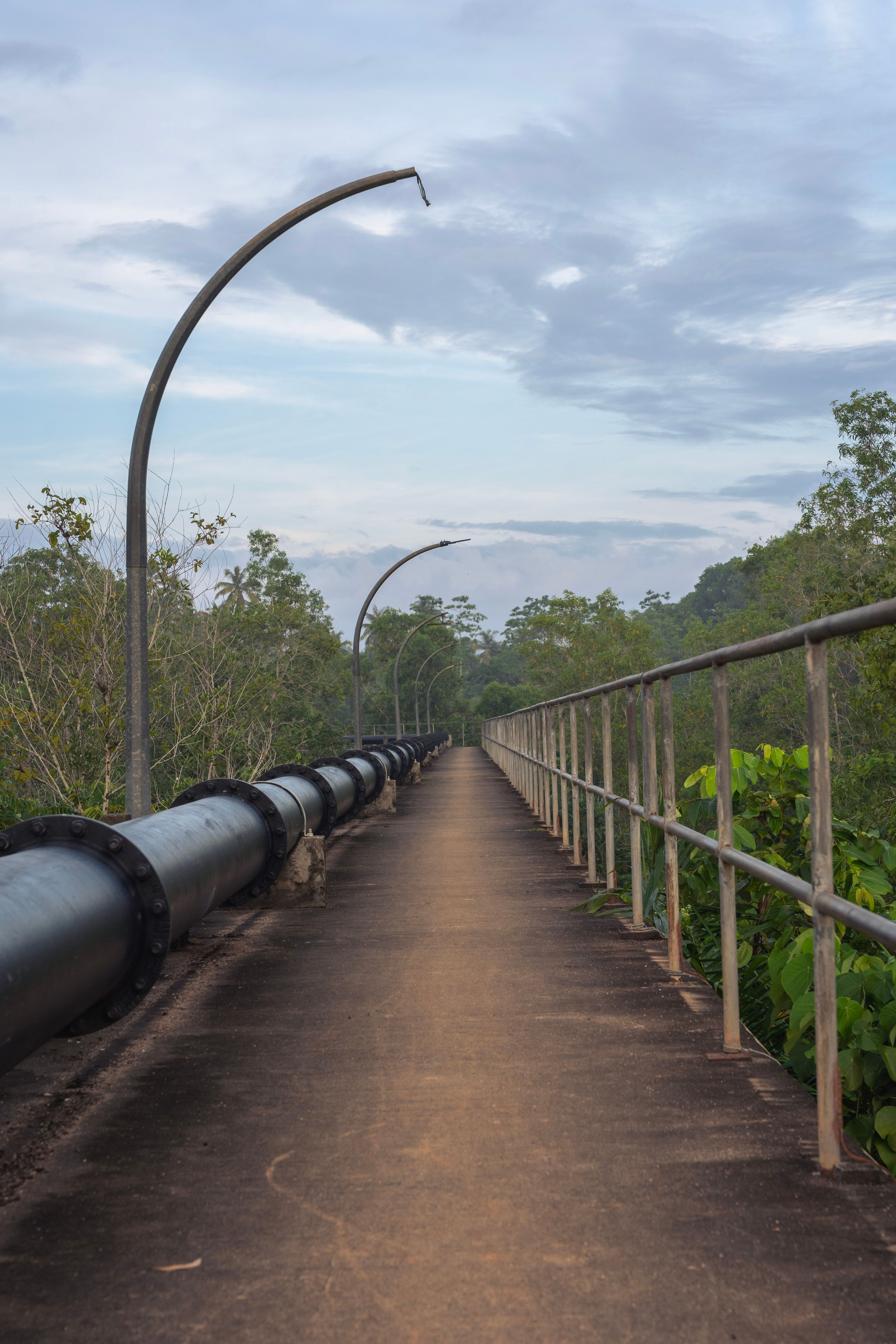 Industrial Pipeline Path through Forested Area · Free Stock Photo