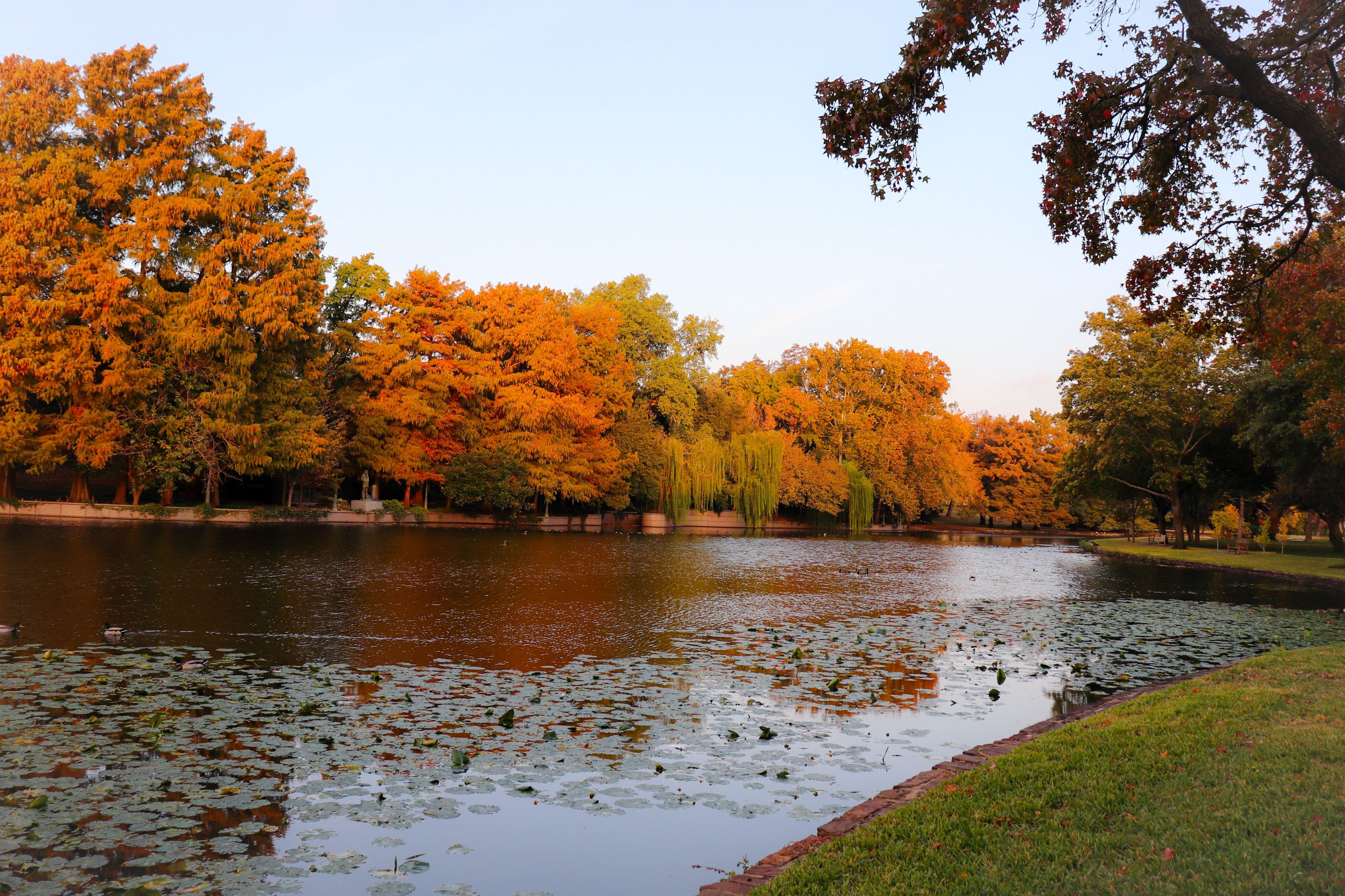 Vista Panorámica Del Lago En Otoño En Texas Park · Foto de stock gratuita
