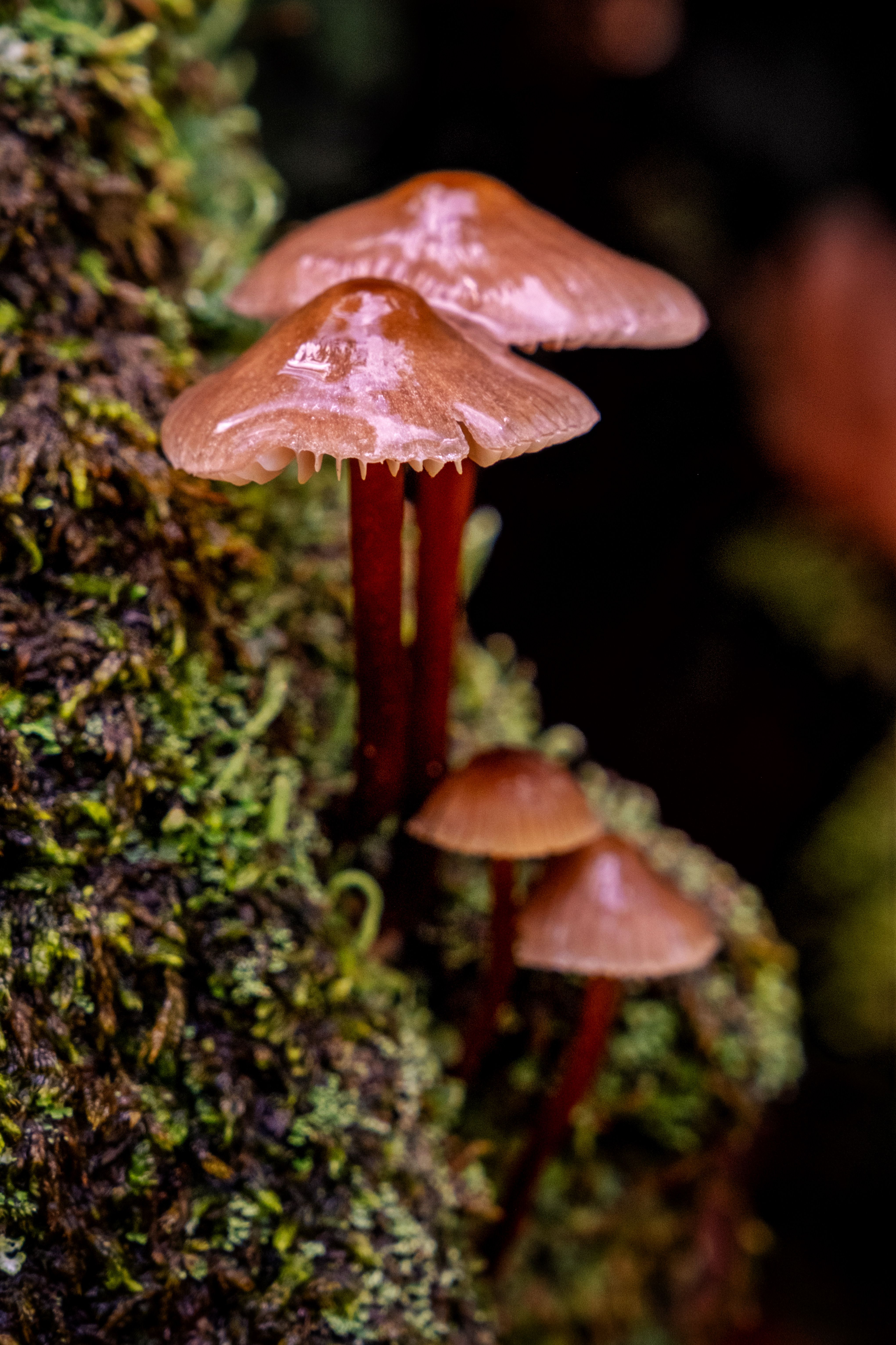 Damp อาบน้ำ Photos, Download The BEST Free Damp อาบน้ำ Stock Photos ...