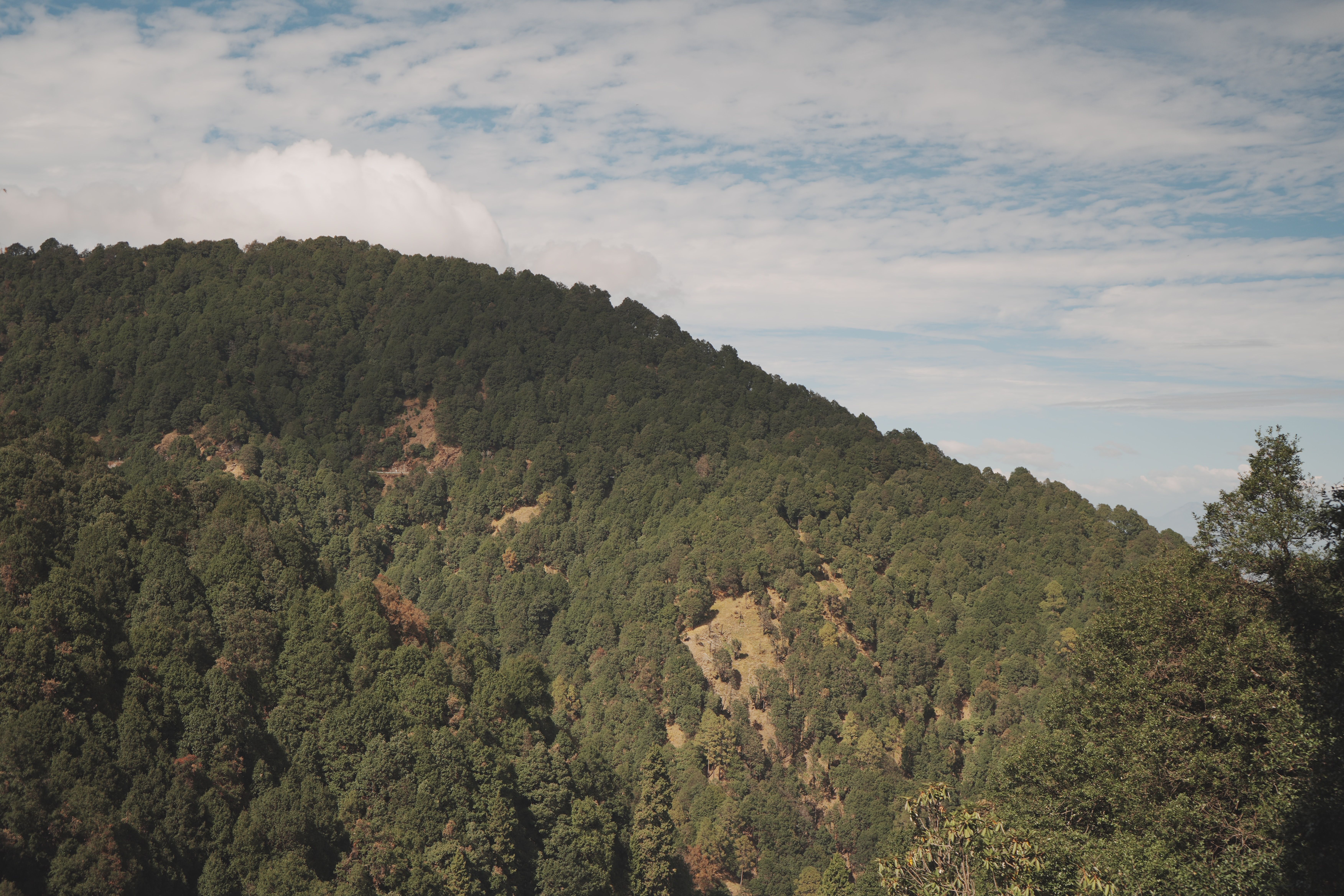 Lush Green Hills with Cloudy Sky · Free Stock Photo