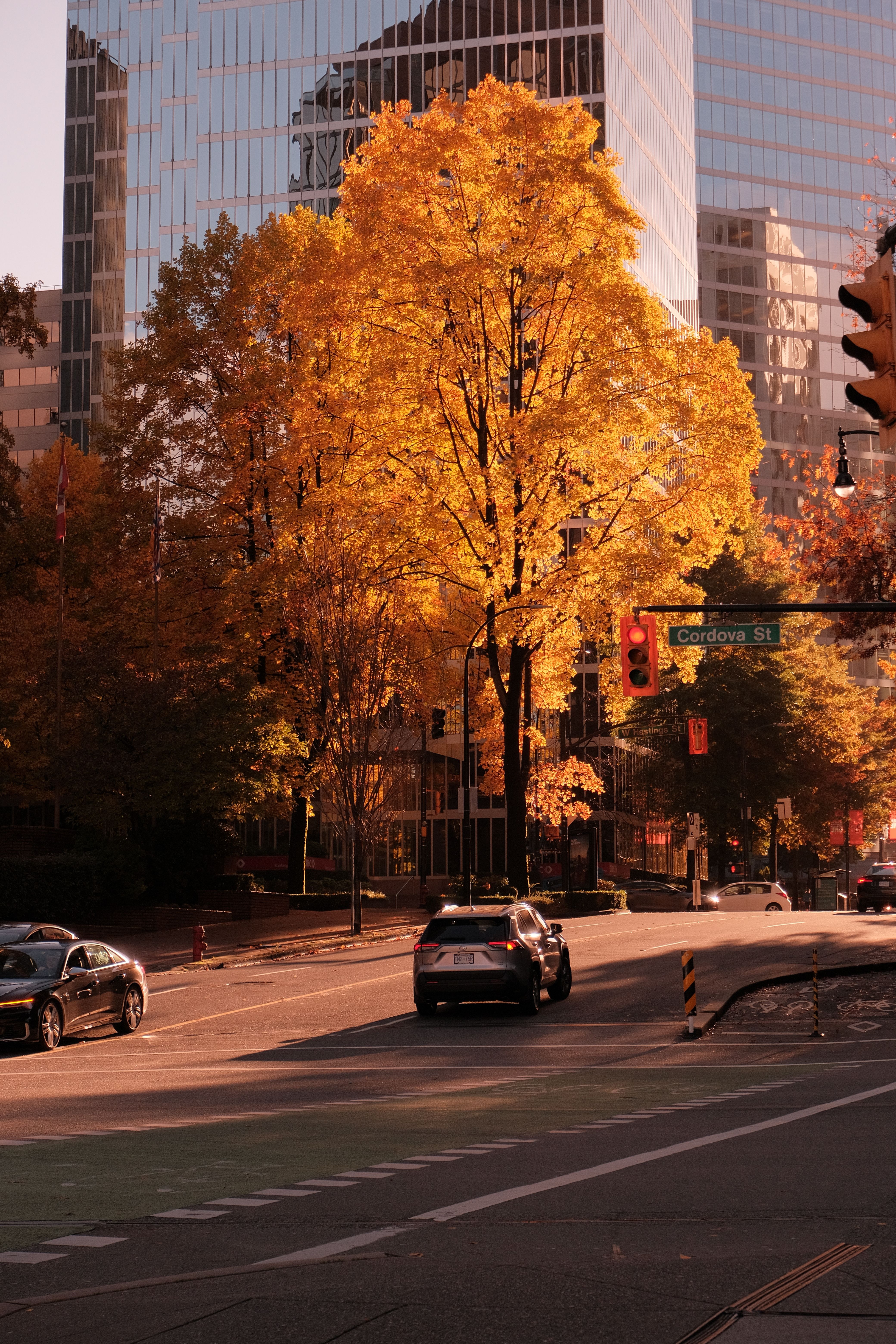 Vibrant Autumn in Downtown Urban Setting · Free Stock Photo