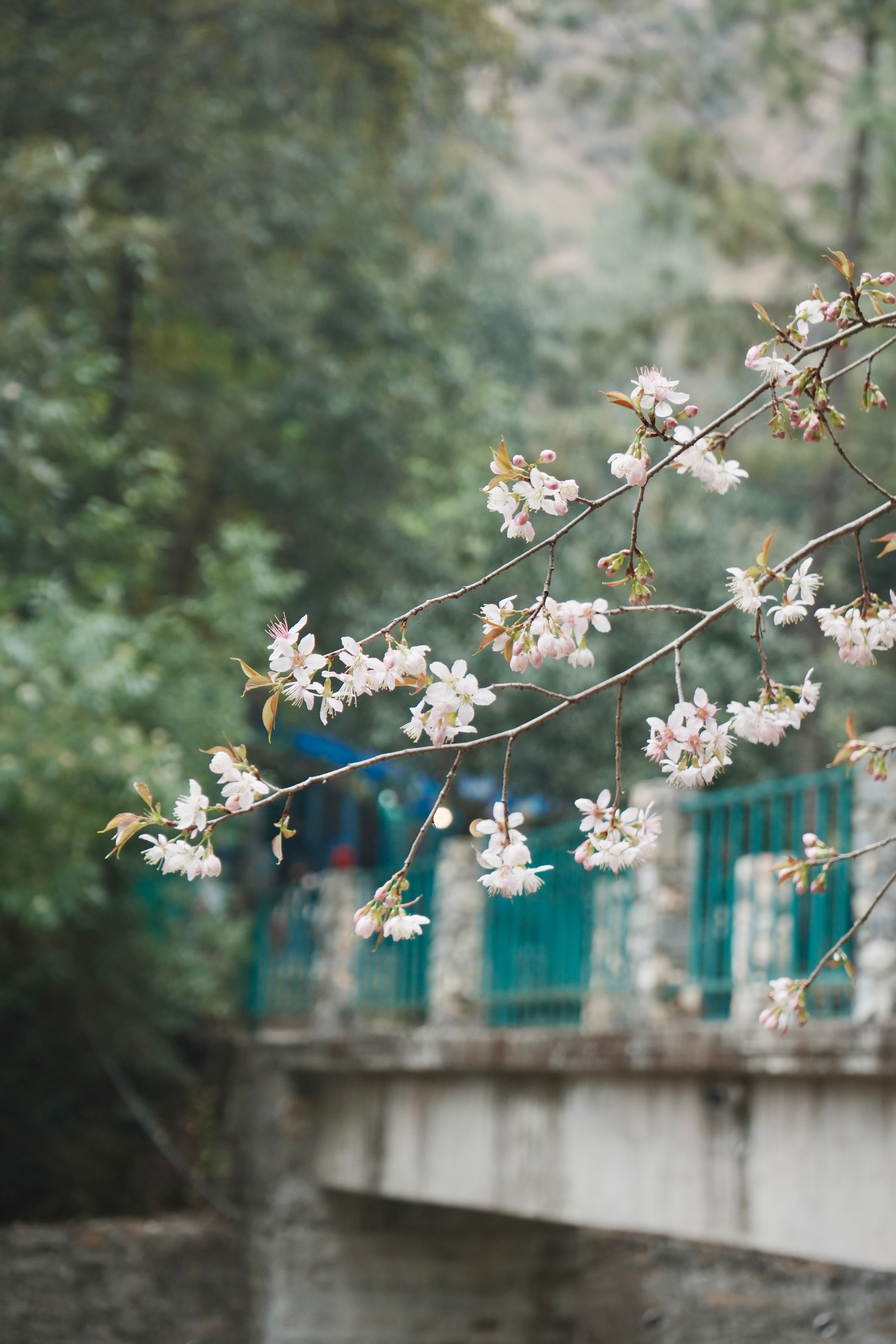 Uzbekistonda Soft Nechi Photos, Download The BEST Free Uzbekistonda ...