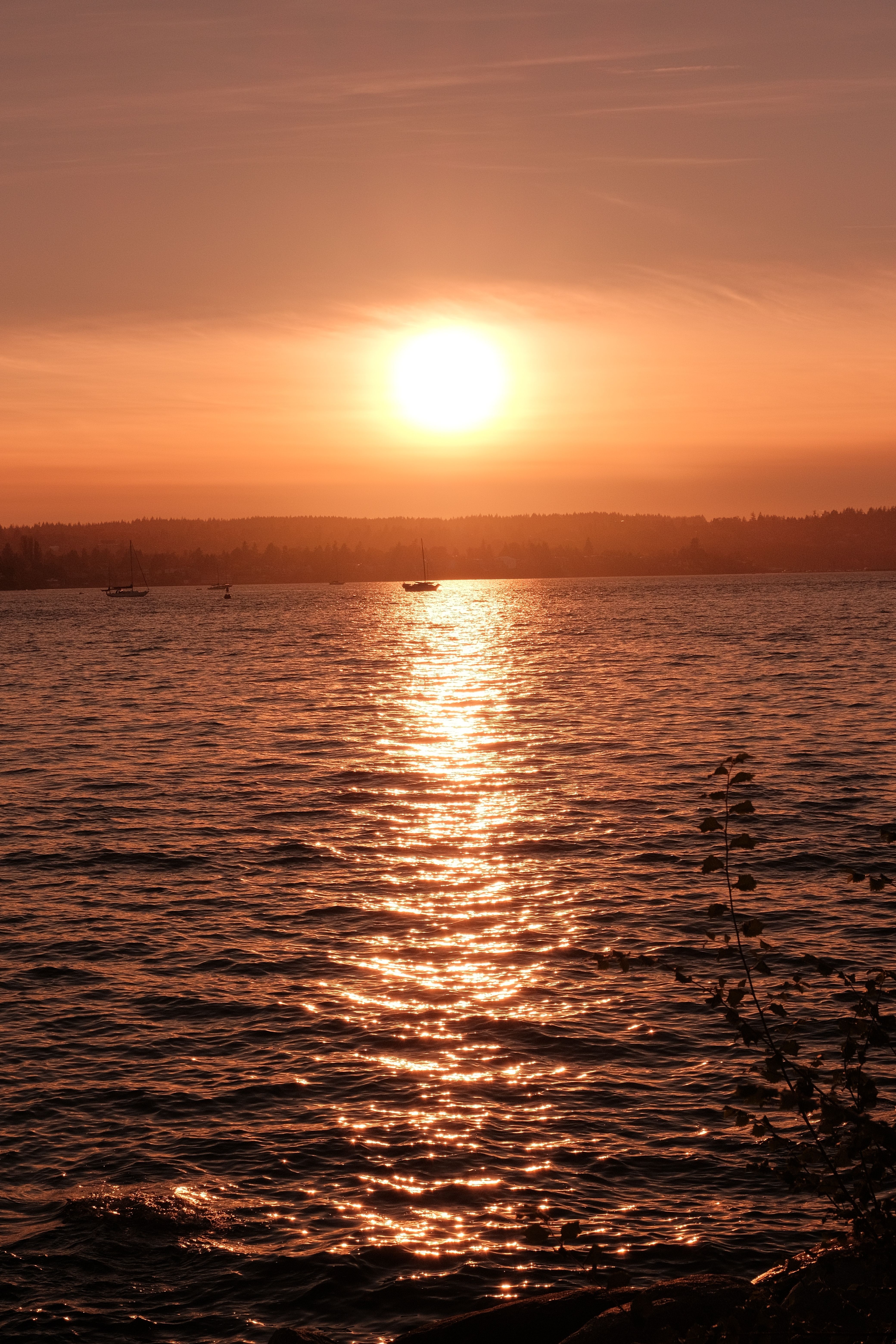 Sunsets Over Water Photos, Download The BEST Free Sunsets Over Water ...
