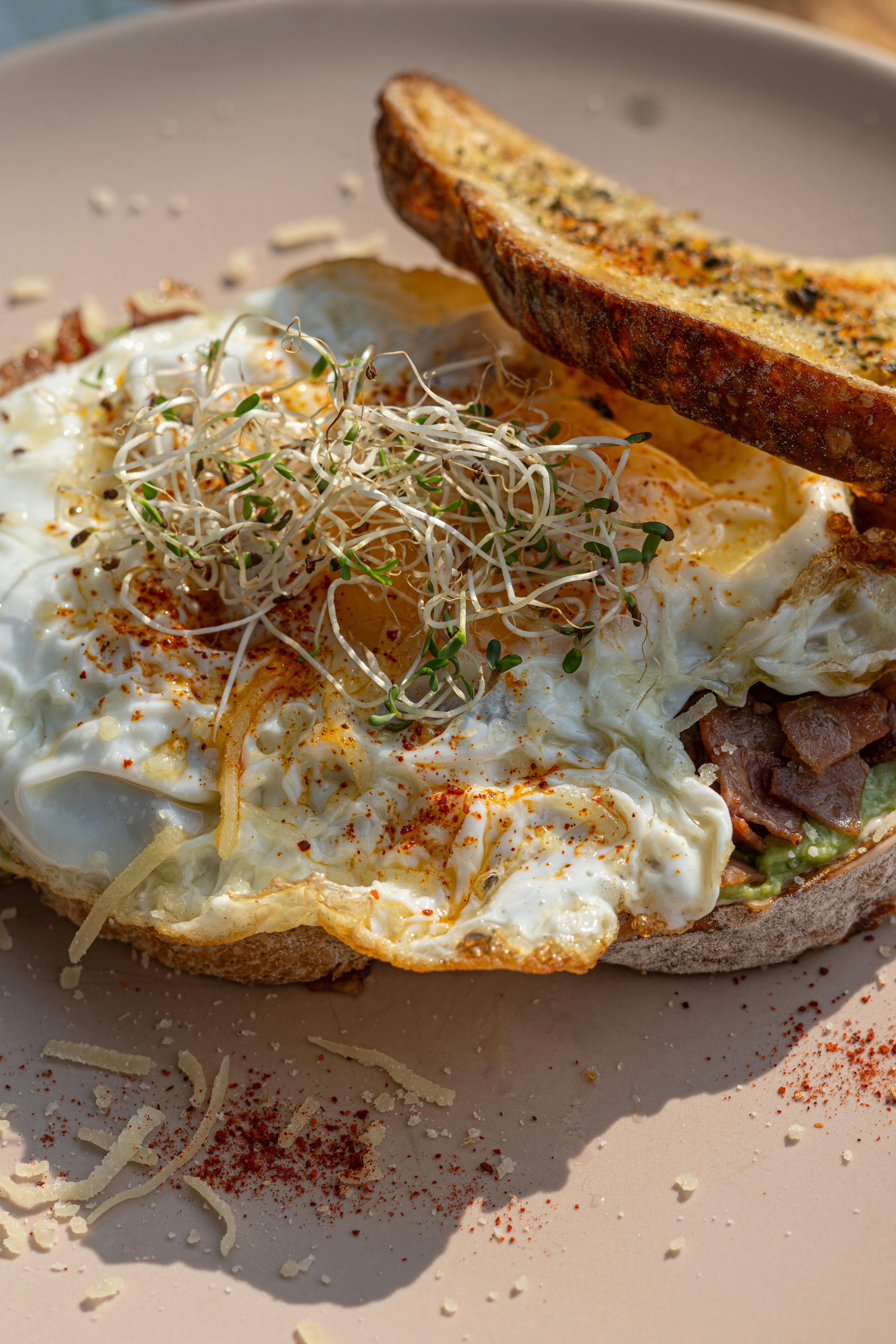 Delicious Brunch Toast with Egg and Sprouts · Free Stock Photo