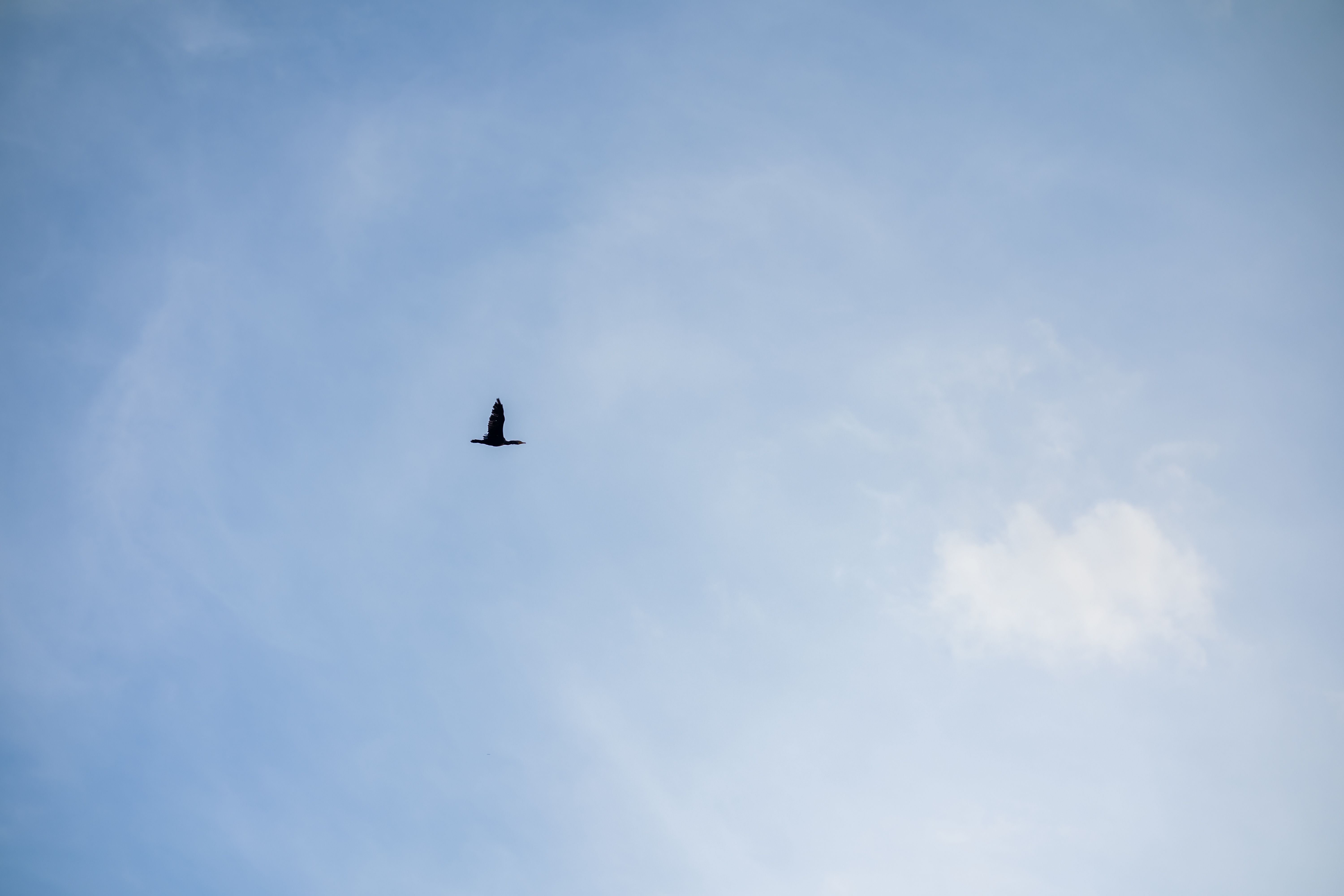 Above Ikkkkk Photos, Download The BEST Free Above Ikkkkk Stock Photos ...