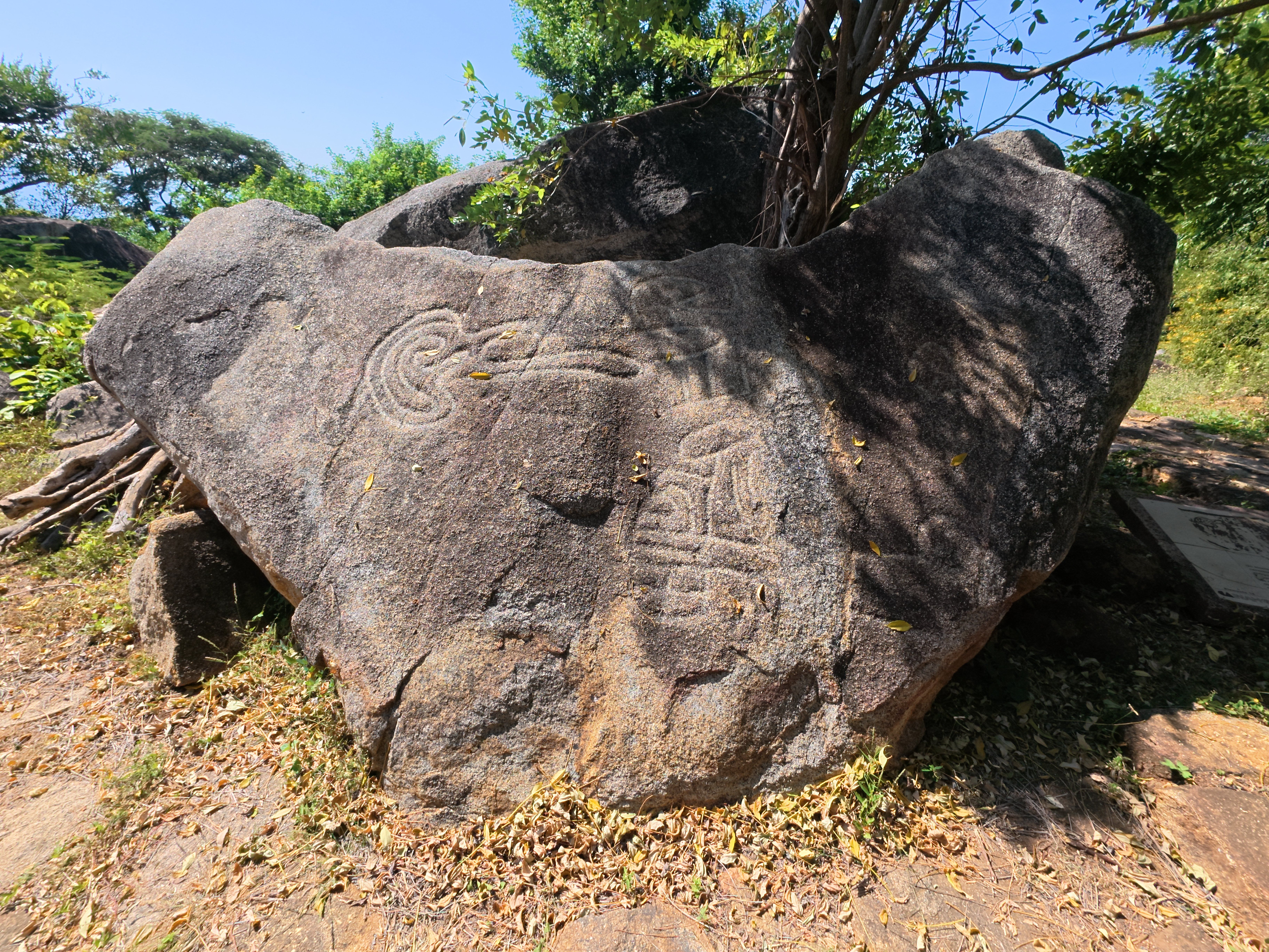 Ancient Stone Carvings in Mexican Jungle · Free Stock Photo