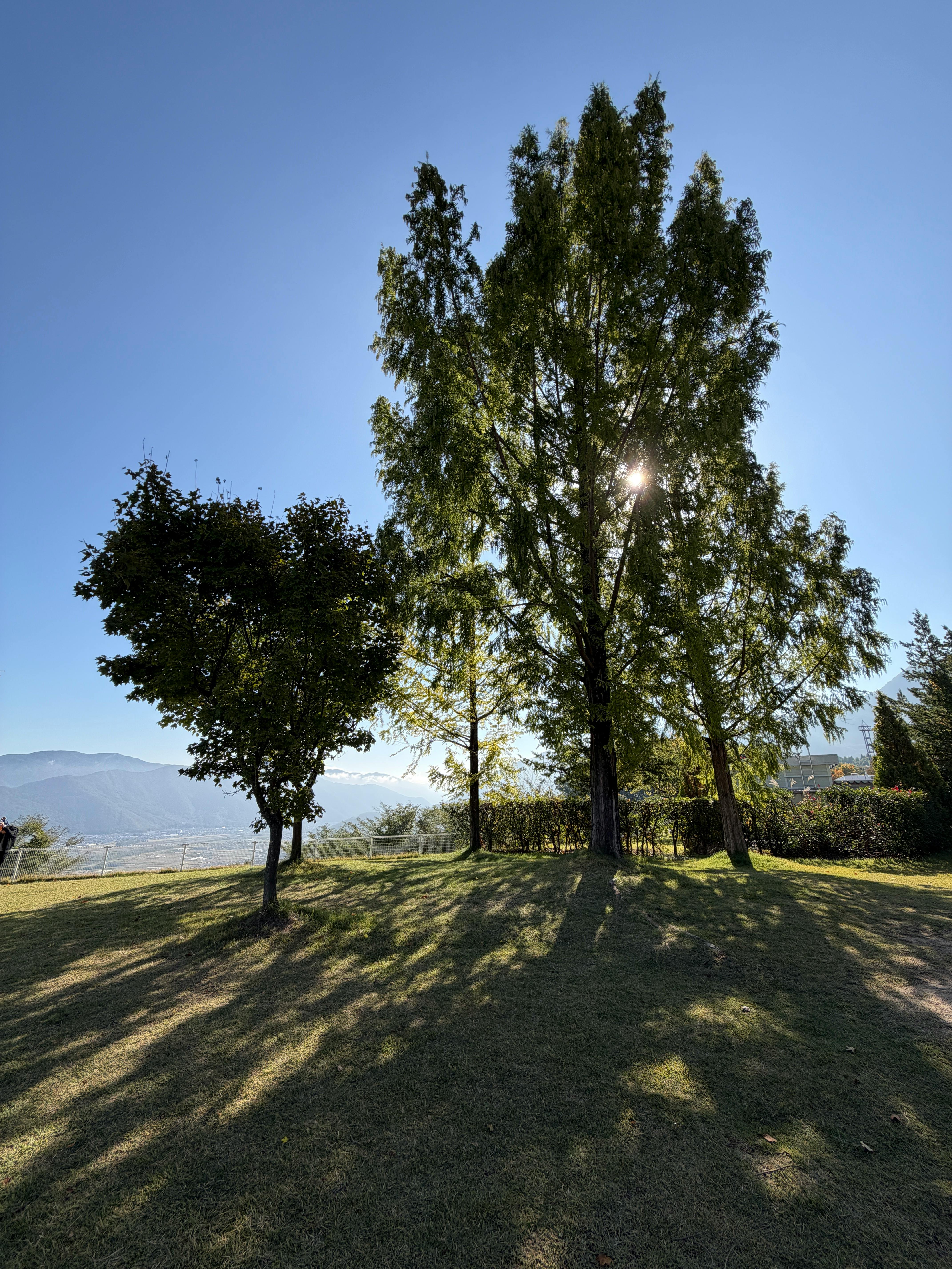 Download+Bokep+Japan Photos, Download The BEST Free Download+Bokep+Japan Stock Photos & HD Images