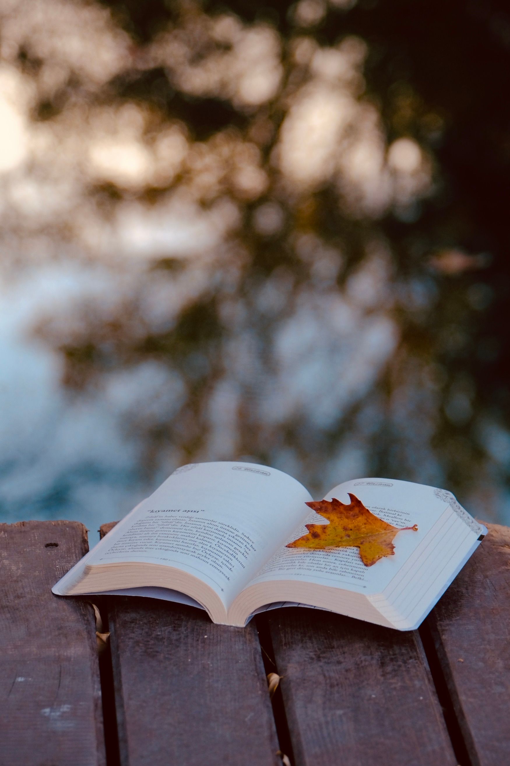 Open Book with Autumn Leaf by Tranquil Water · Free Stock Photo
