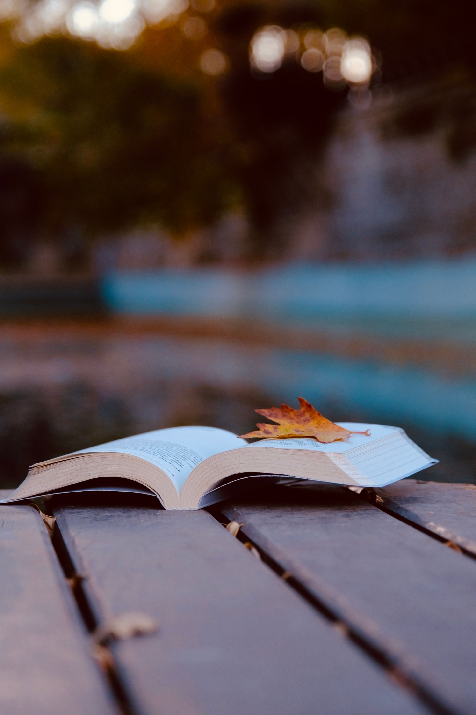 Reading Background Photos, Download The BEST Free Reading Background ...
