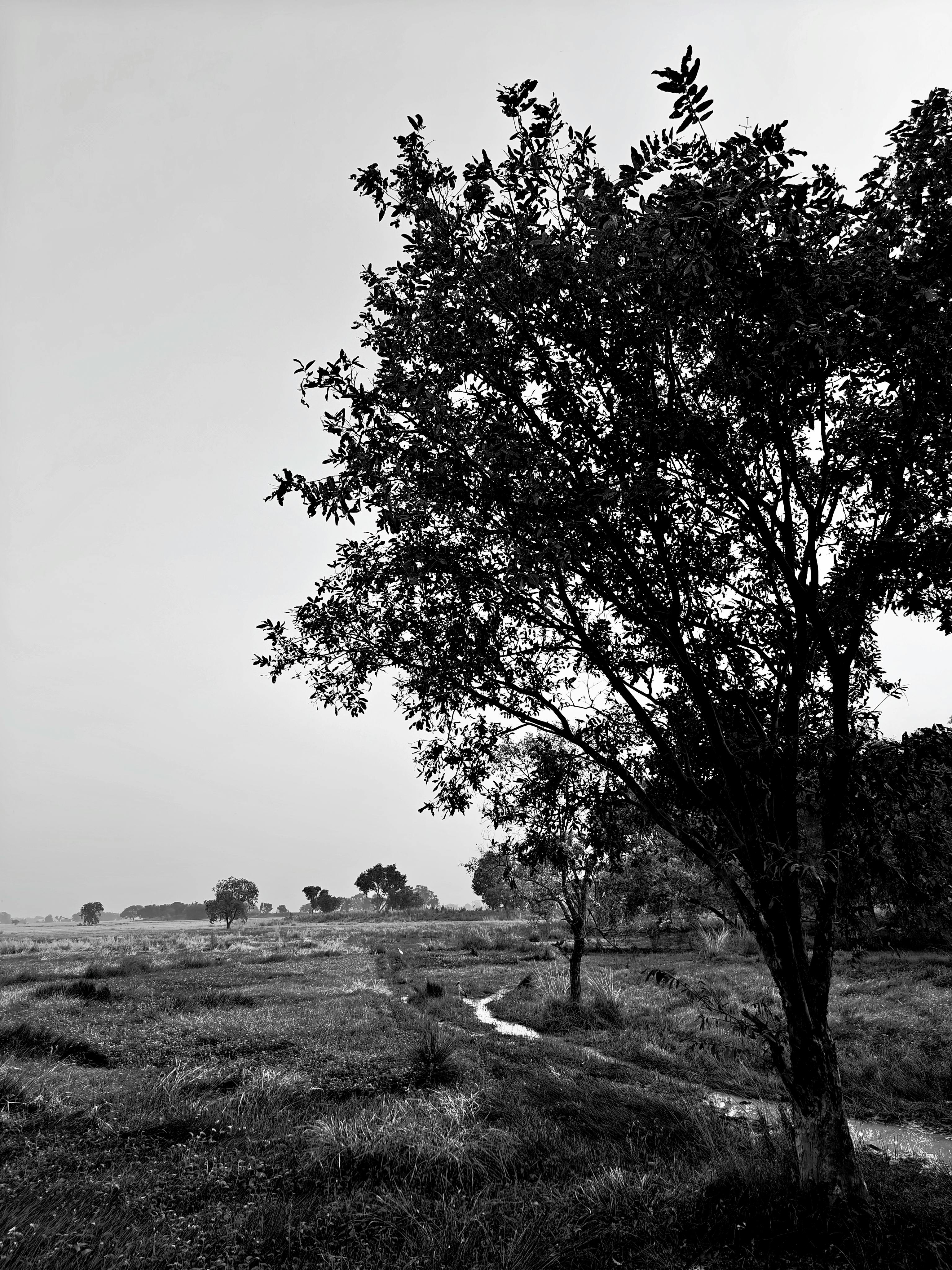 Laptop Amoled Wallpaper Photos, Download The BEST Free Laptop Amoled ...