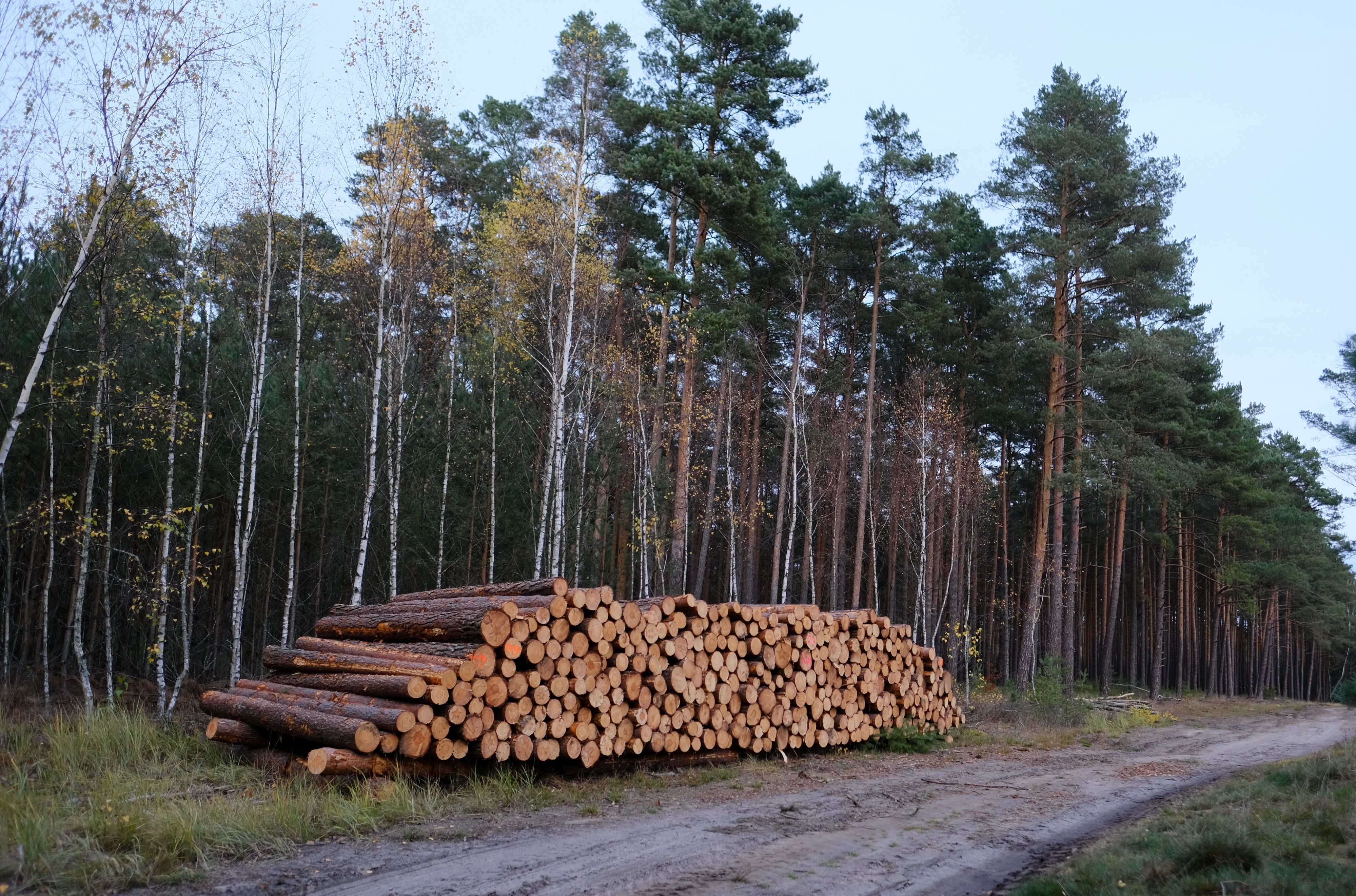 Log+Bild Photos, Download The BEST Free Log+Bild Stock Photos & HD Images
