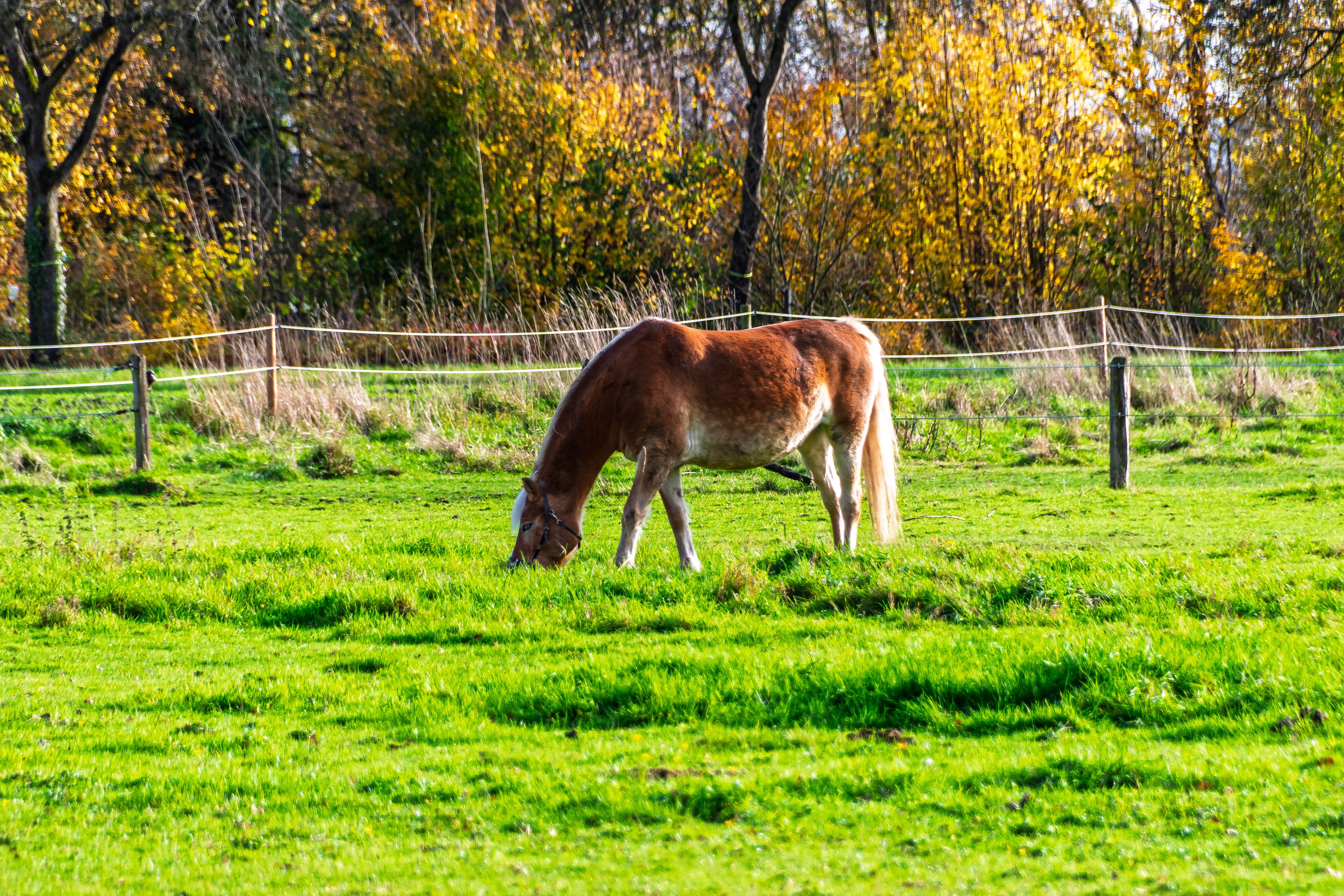 Aussie+Nibbles Photos, Download The BEST Free Aussie+Nibbles Stock ...