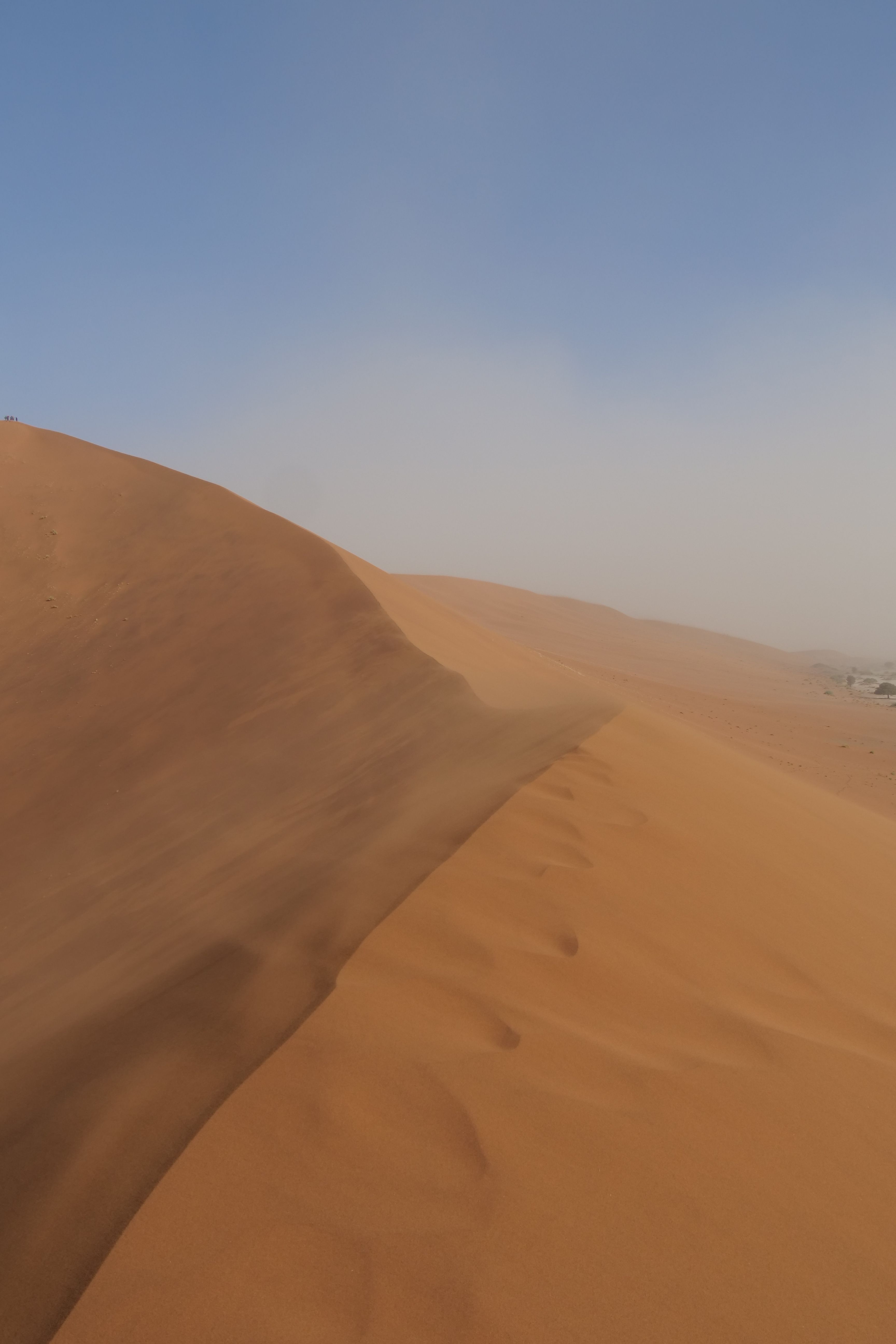 Brown Sand Field · Free Stock Photo