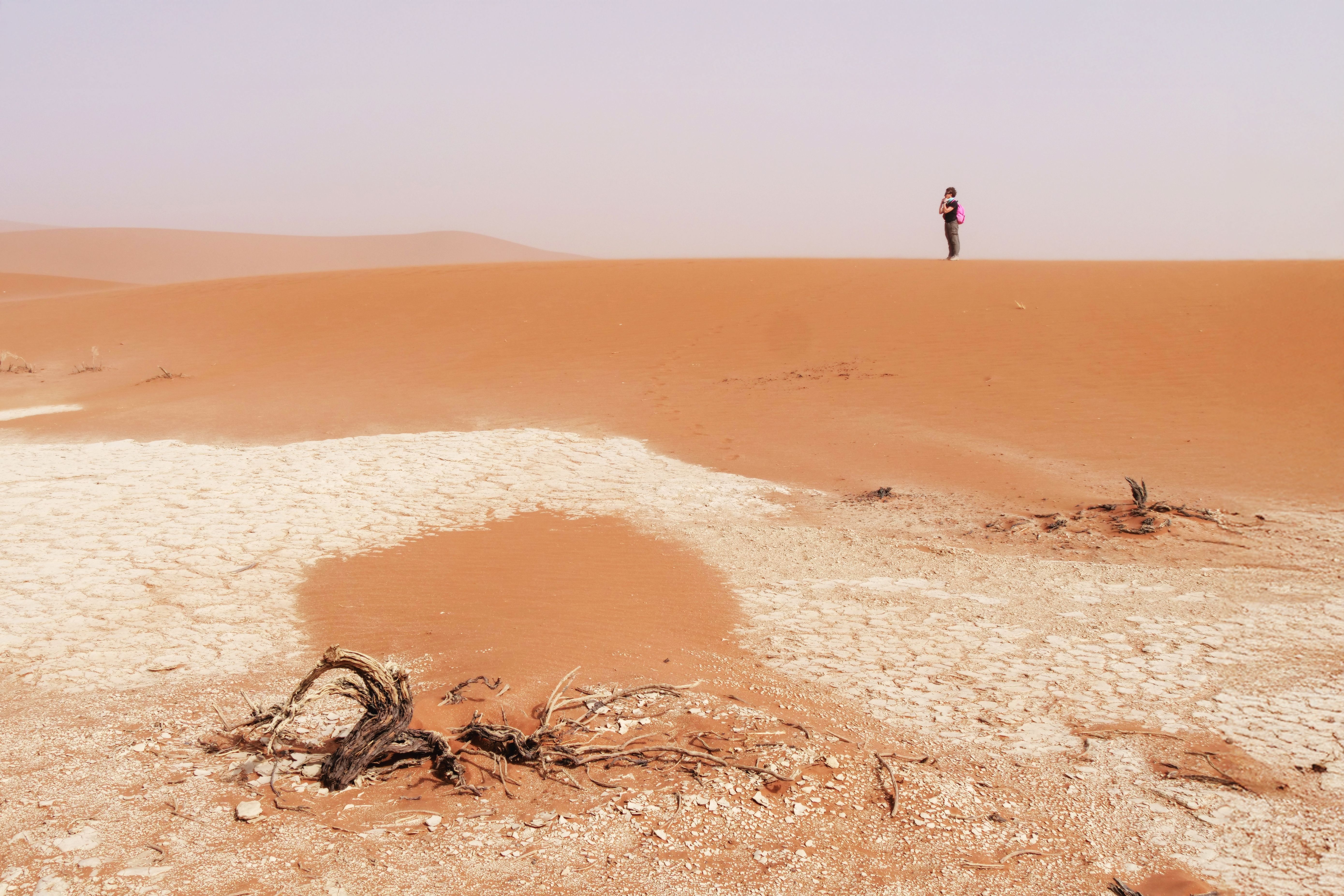 Solo Hasis Photos, Download The BEST Free Solo Hasis Stock Photos & HD ...