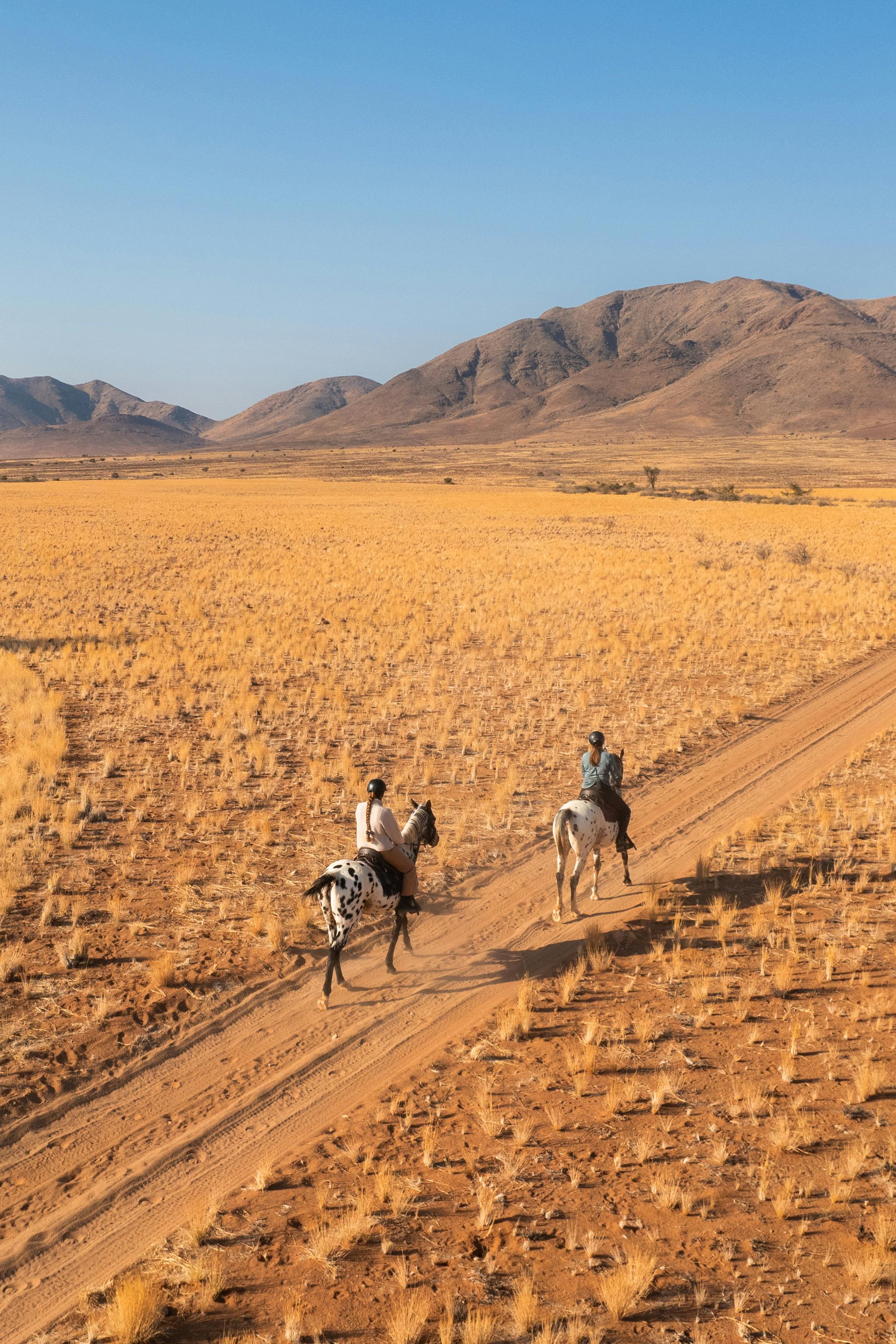 Riders Exploring the Desert on Horseback · Free Stock Photo