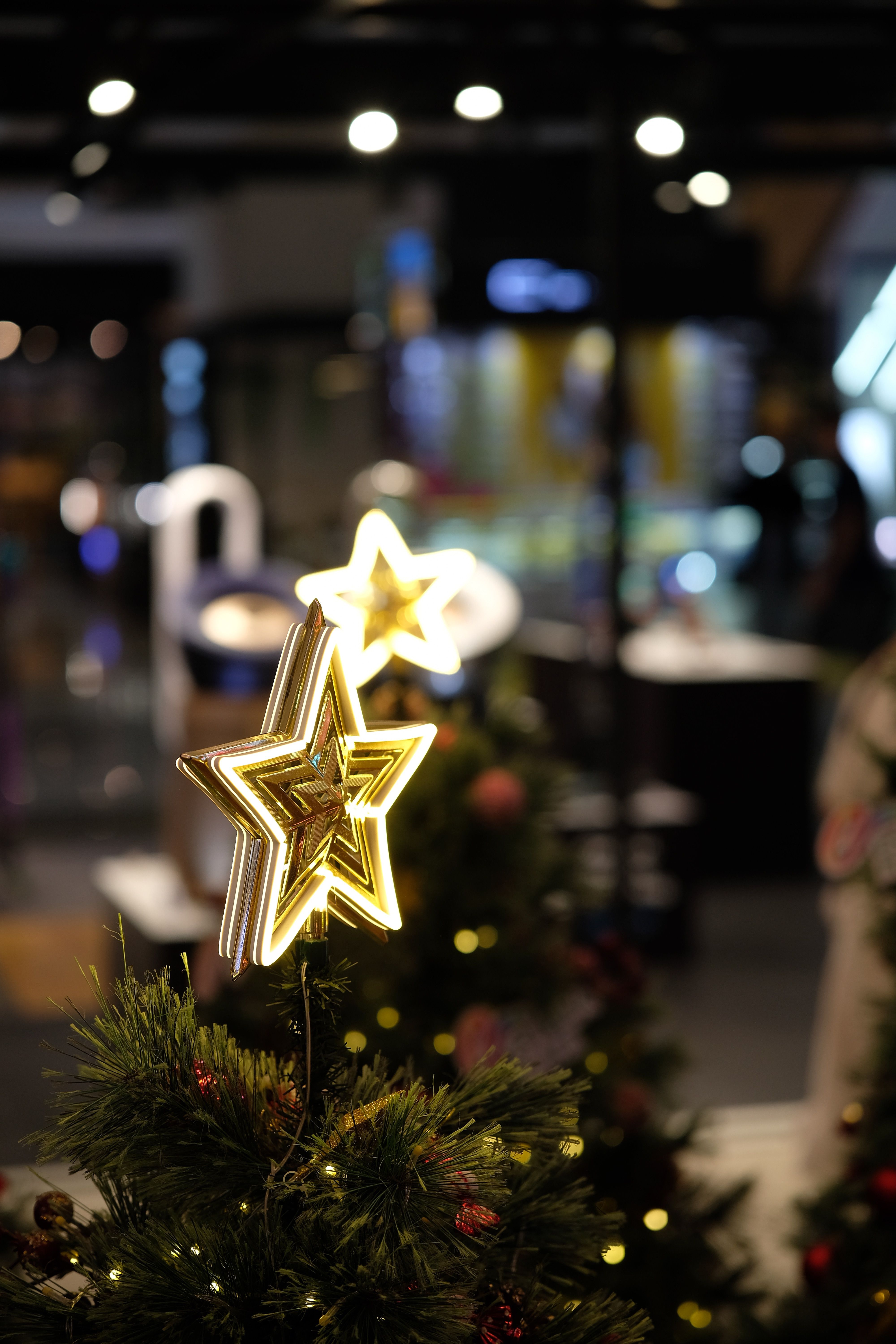 Festive Christmas Tree with Star Topper Indoors · Free Stock Photo