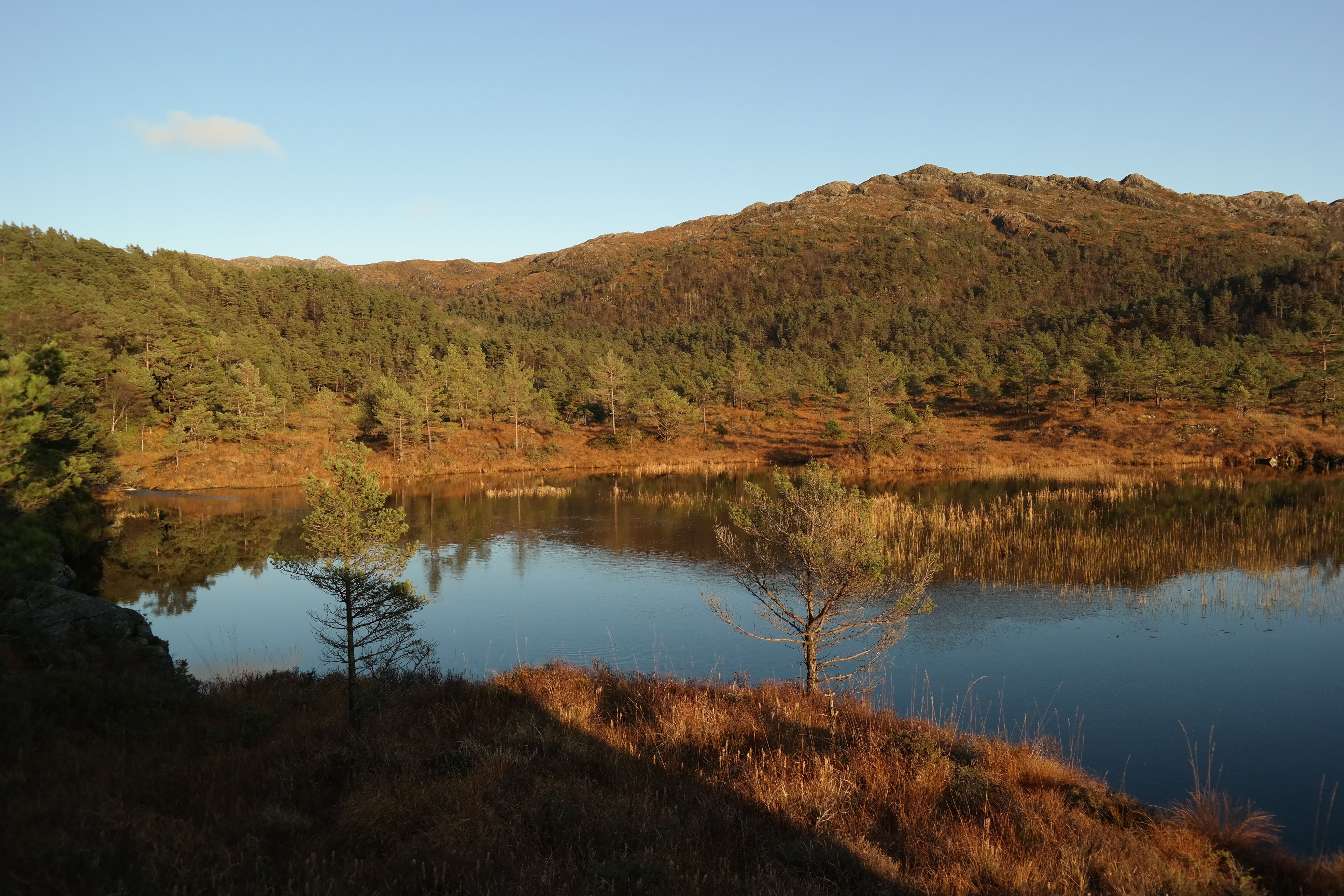Scenic Autumn Lake in Fitjar, Vestland, Norway · Free Stock Photo