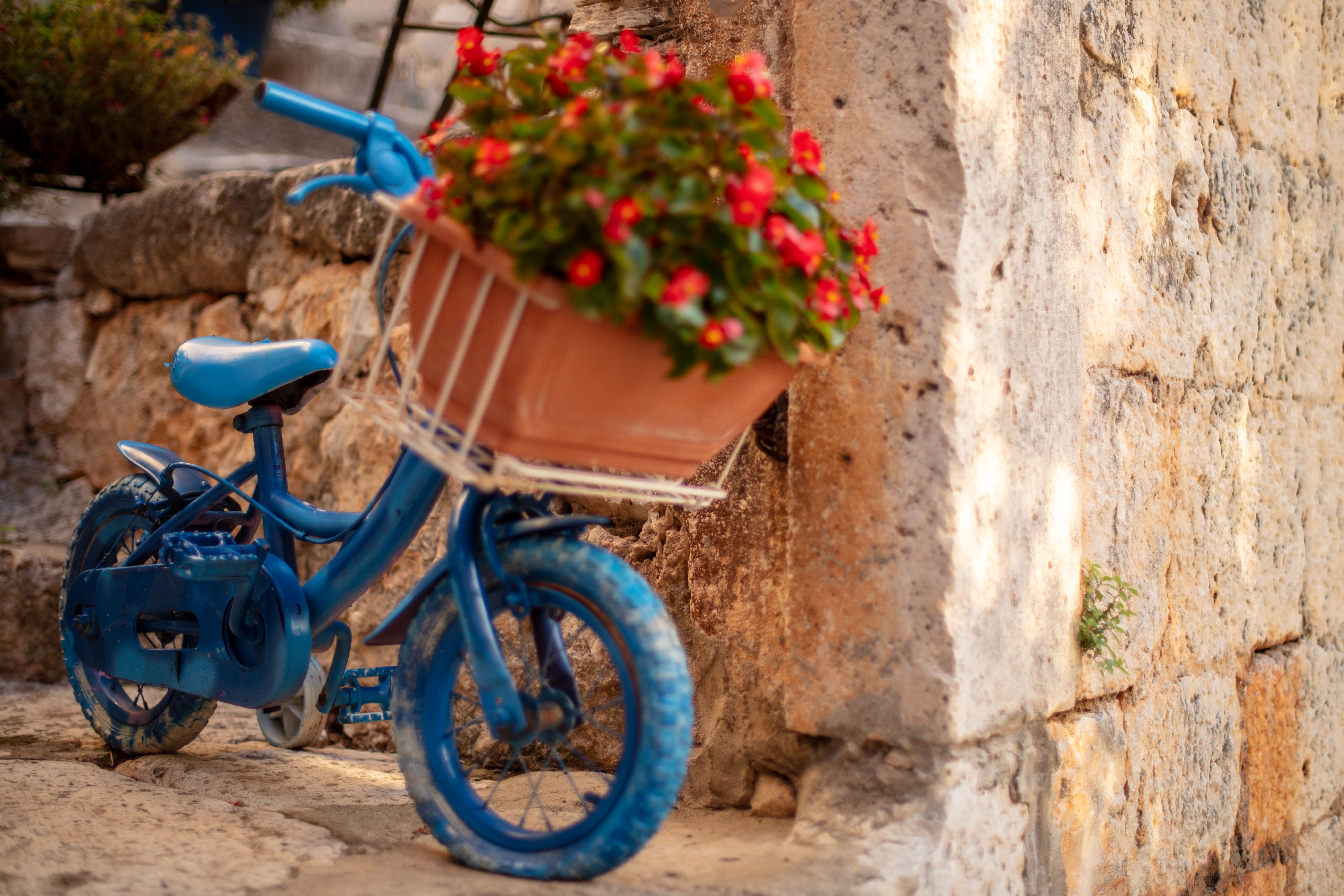 Blue Bicycle with Flowers on Rustic Stone Wall · Free Stock Photo