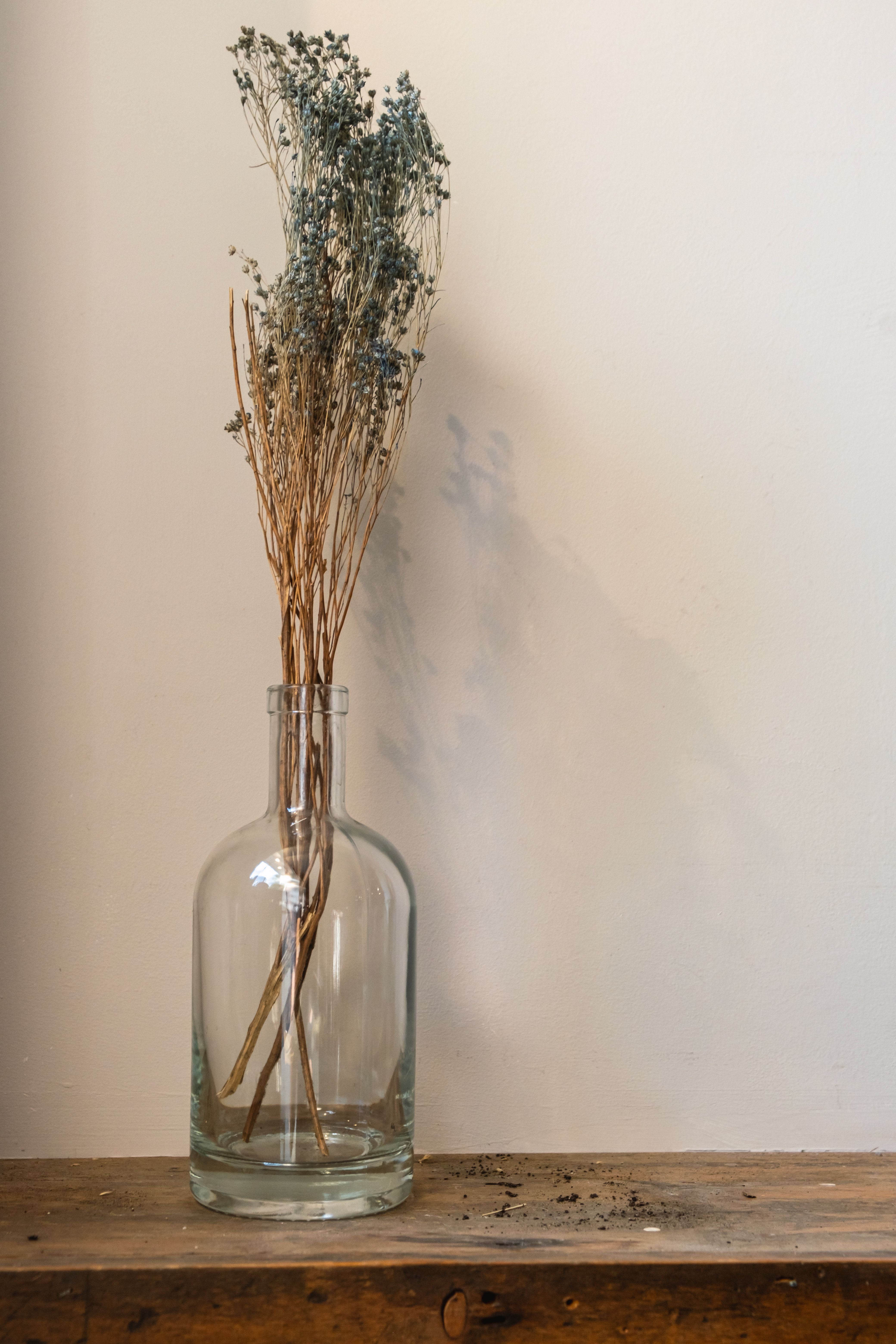 Eucalyptus sprigs in glass vase at home · Free Stock Photo