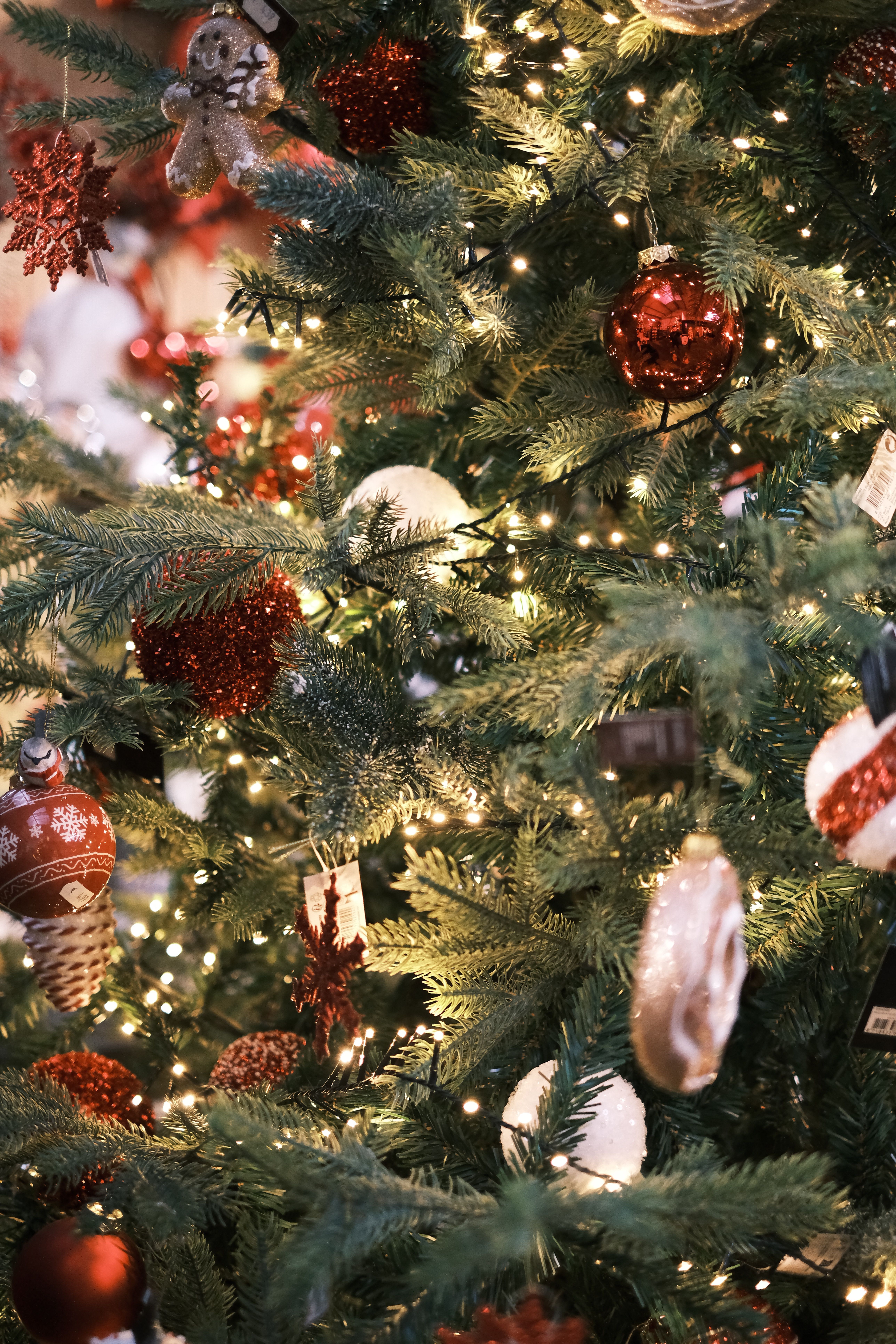 Festive Christmas Tree with Sparkling Ornaments · Free Stock Photo