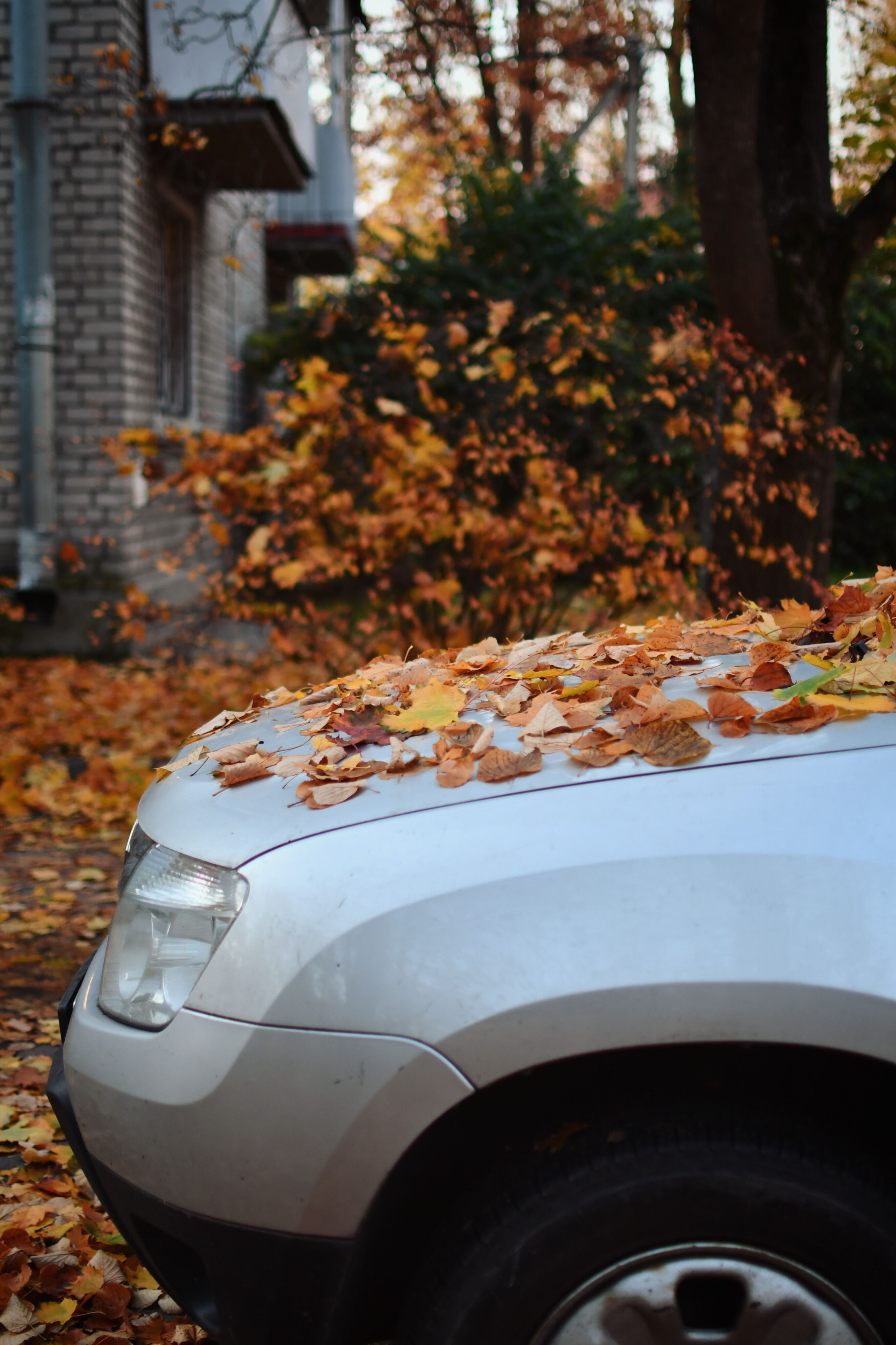 Car Covered with Autumn Leaves by a Brick Building · Free Stock Photo