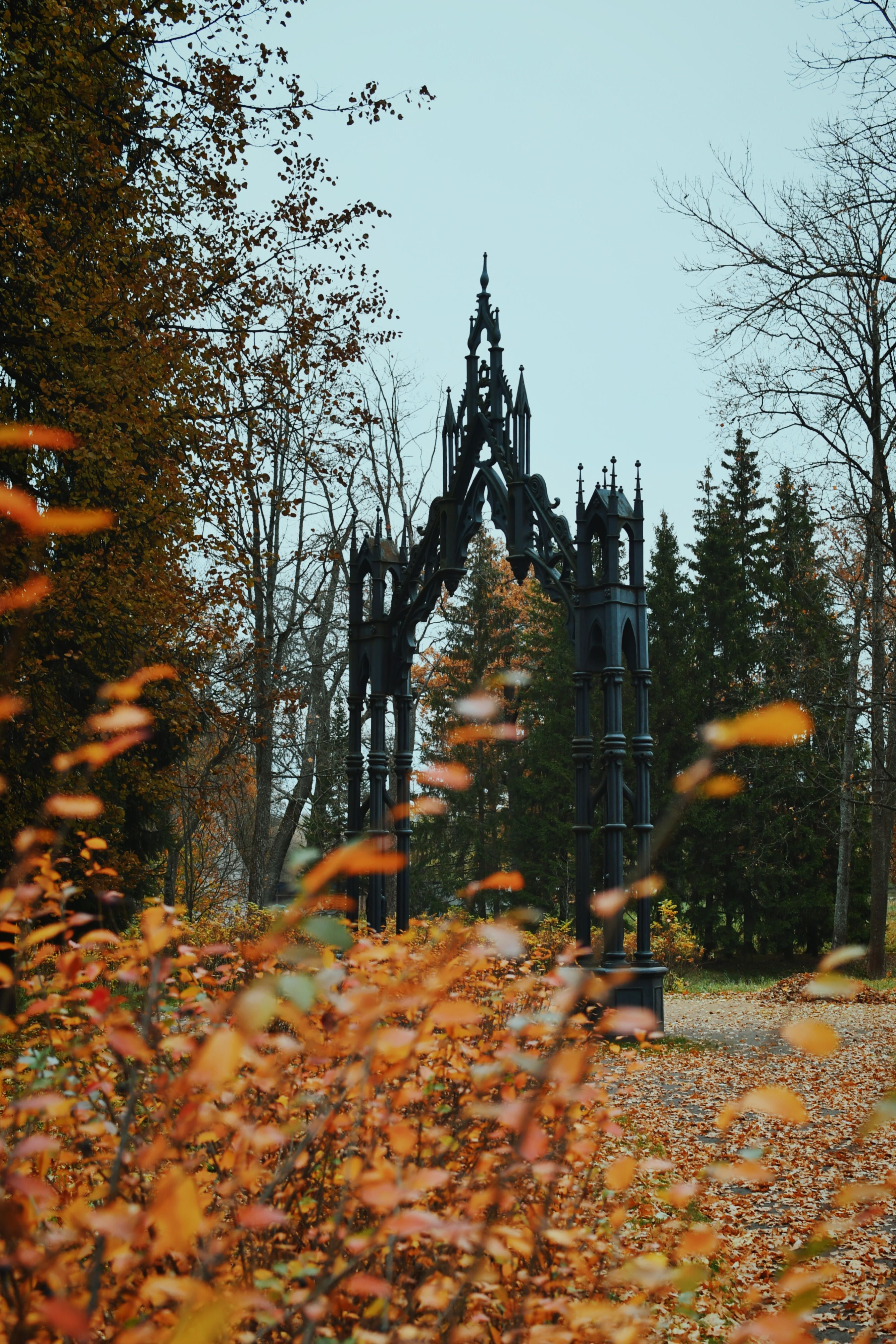 Gothic Archway in Autumn Forest · Free Stock Photo
