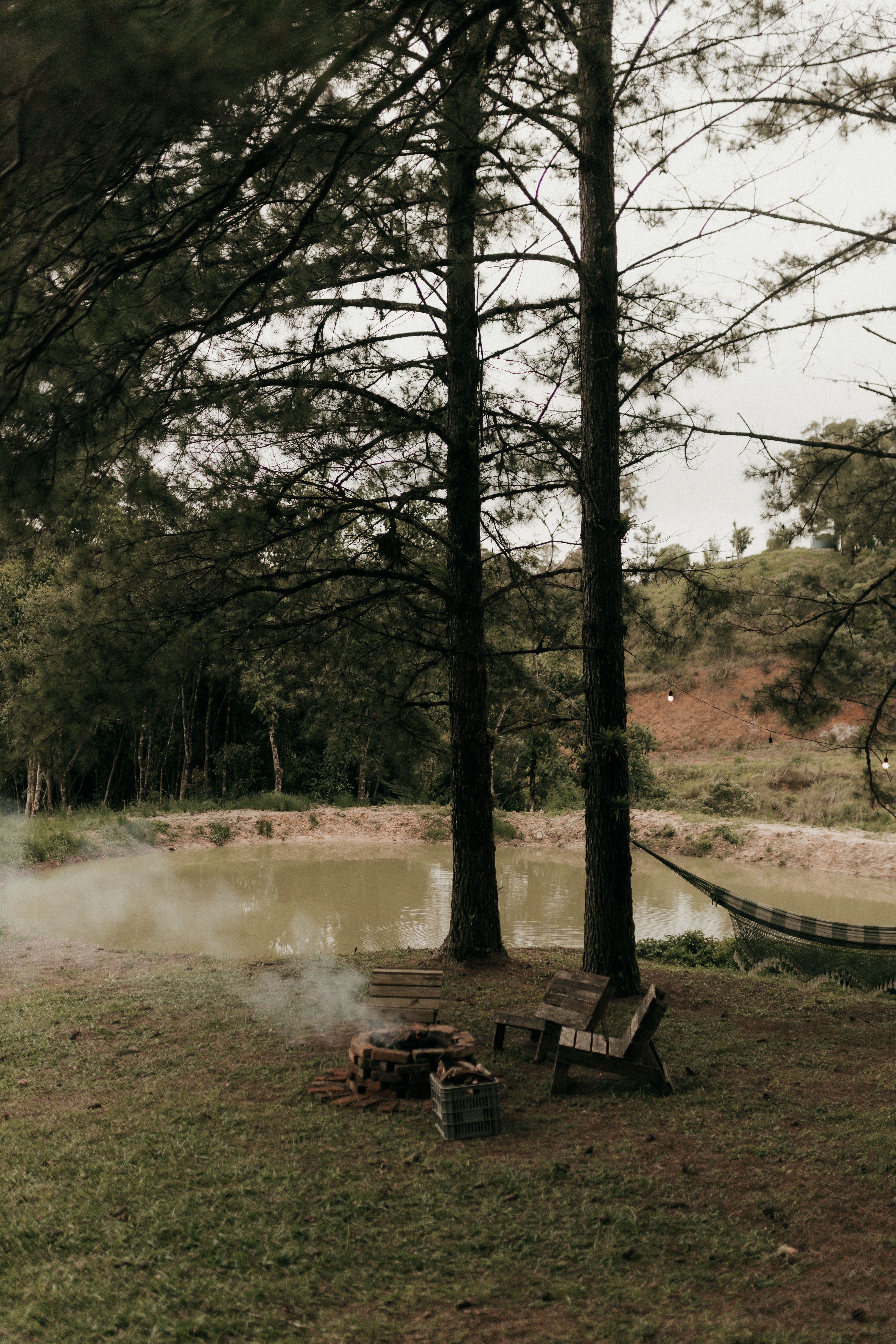 Tranquil Lakeside Campfire in Forest Setting · Free Stock Photo