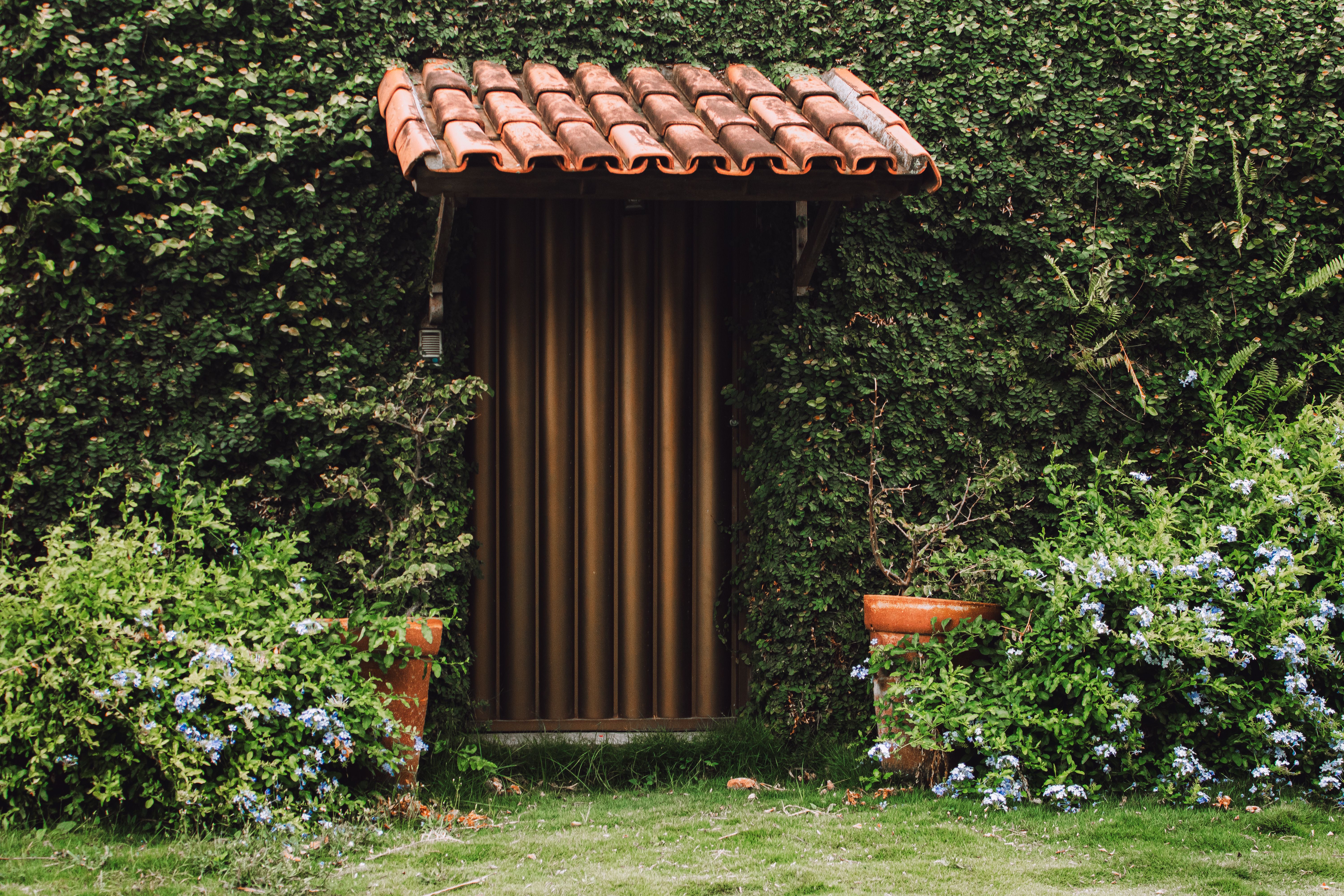 Rustic Doorway with Ivy and Terracotta Roof · Free Stock Photo