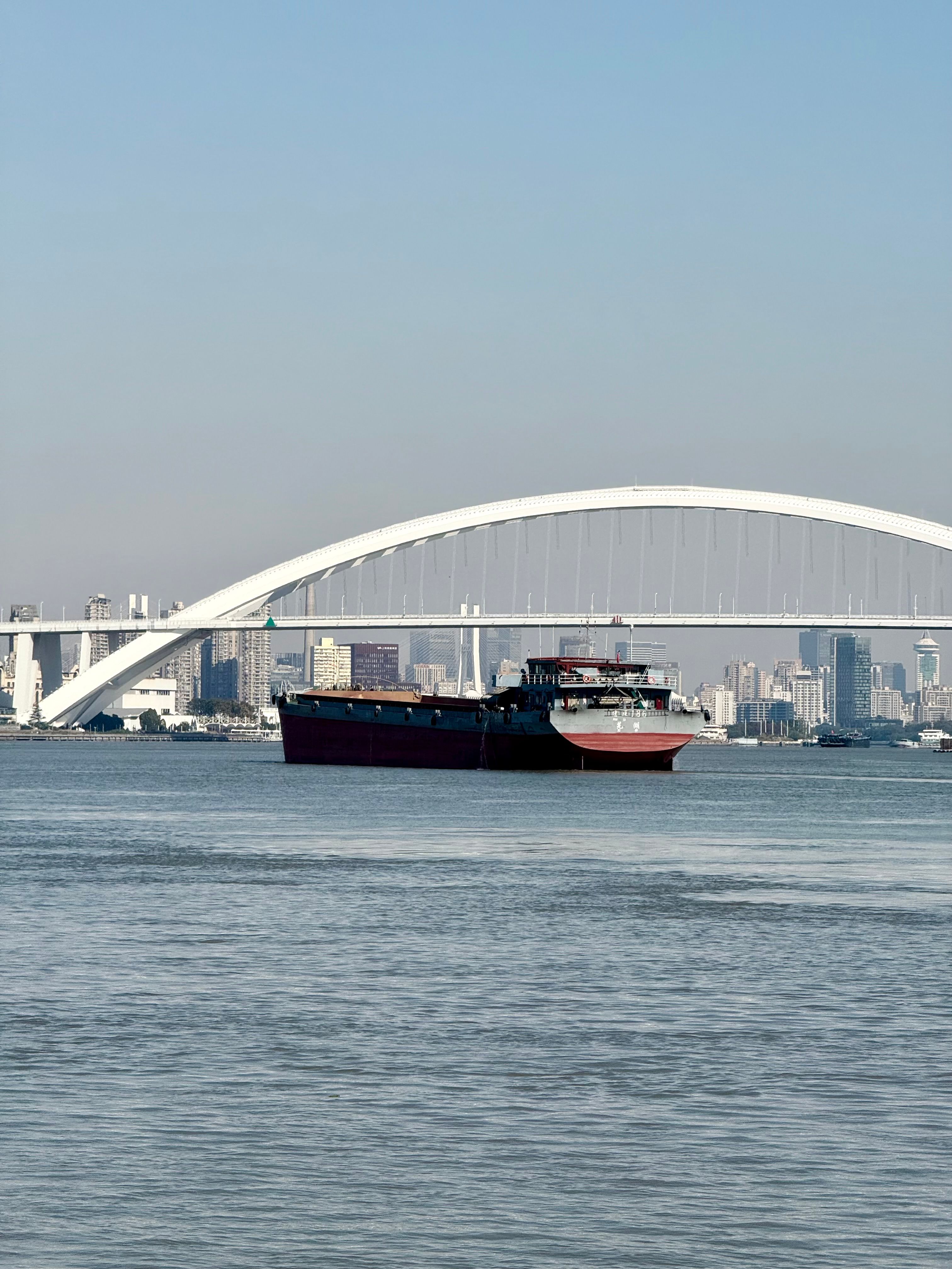 Panoramic View of Lupu Bridge and Cargo Ship in Shanghai · Free Stock Photo
