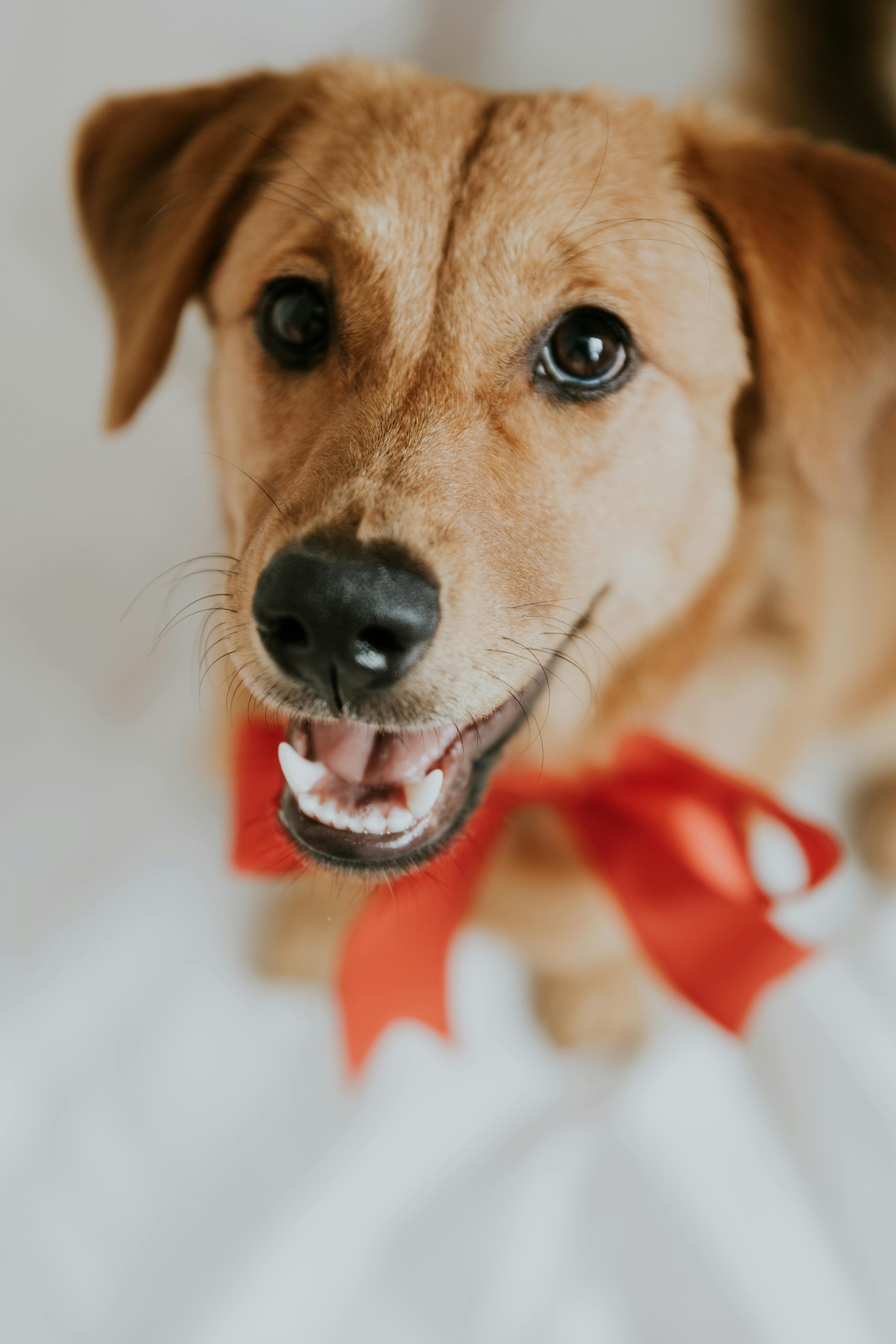 Images+Creations Photos, Download The BEST Free Images+Creations Stock ...