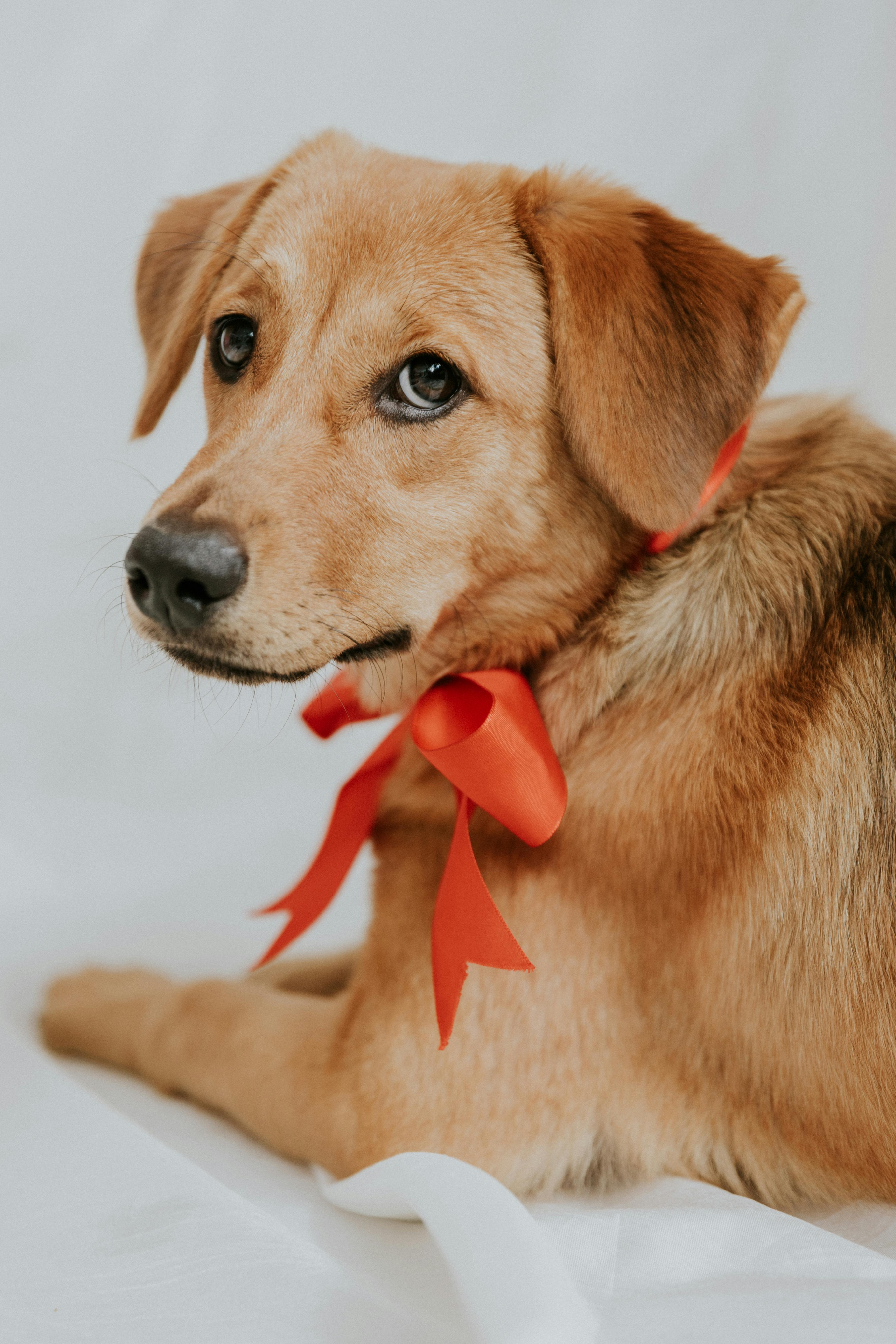 Screen+Celebrity+Shots Photos, Download The BEST Free Screen+Celebrity ...