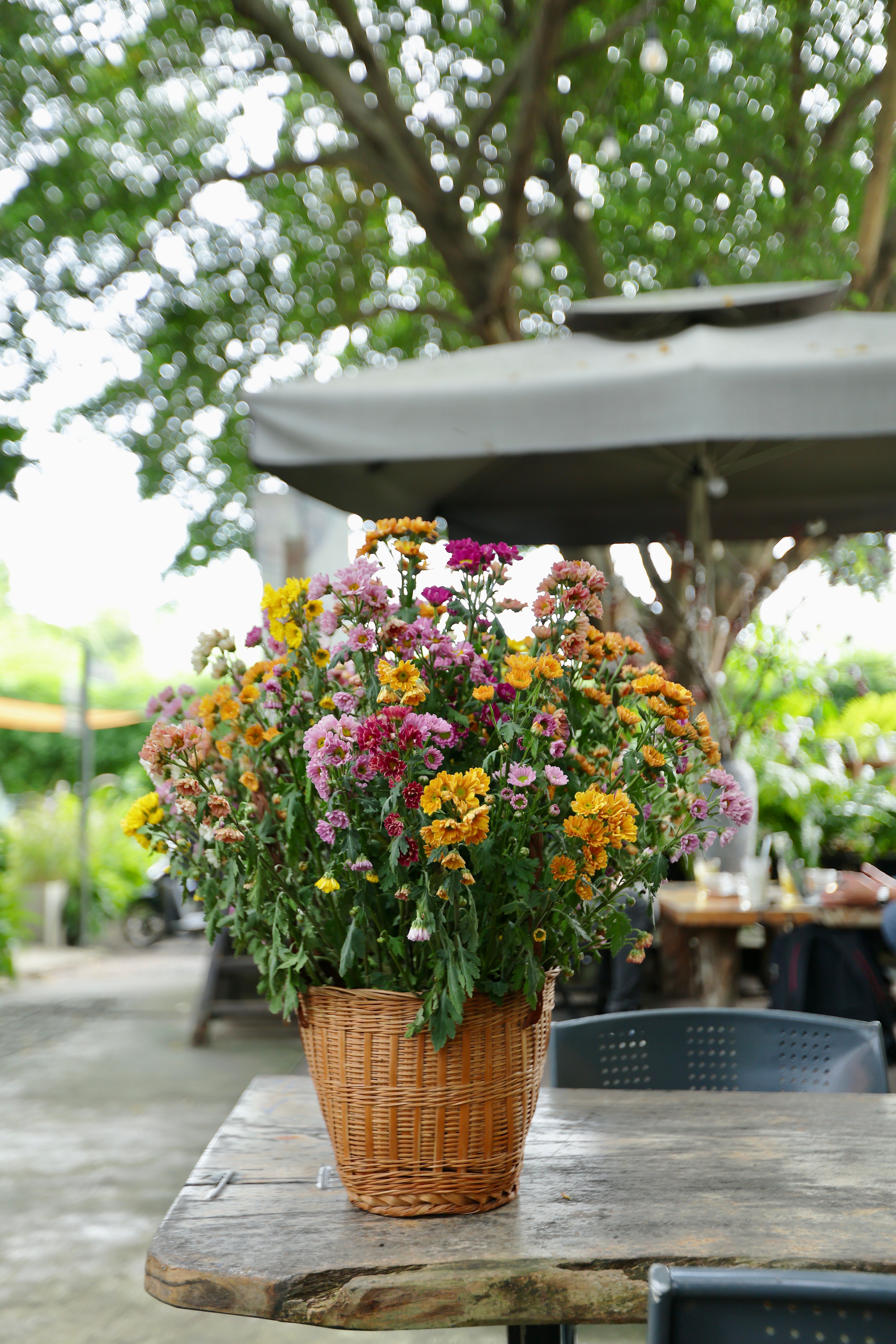 Colorful Flower Arrangement in Outdoor Café Setting · Free Stock Photo