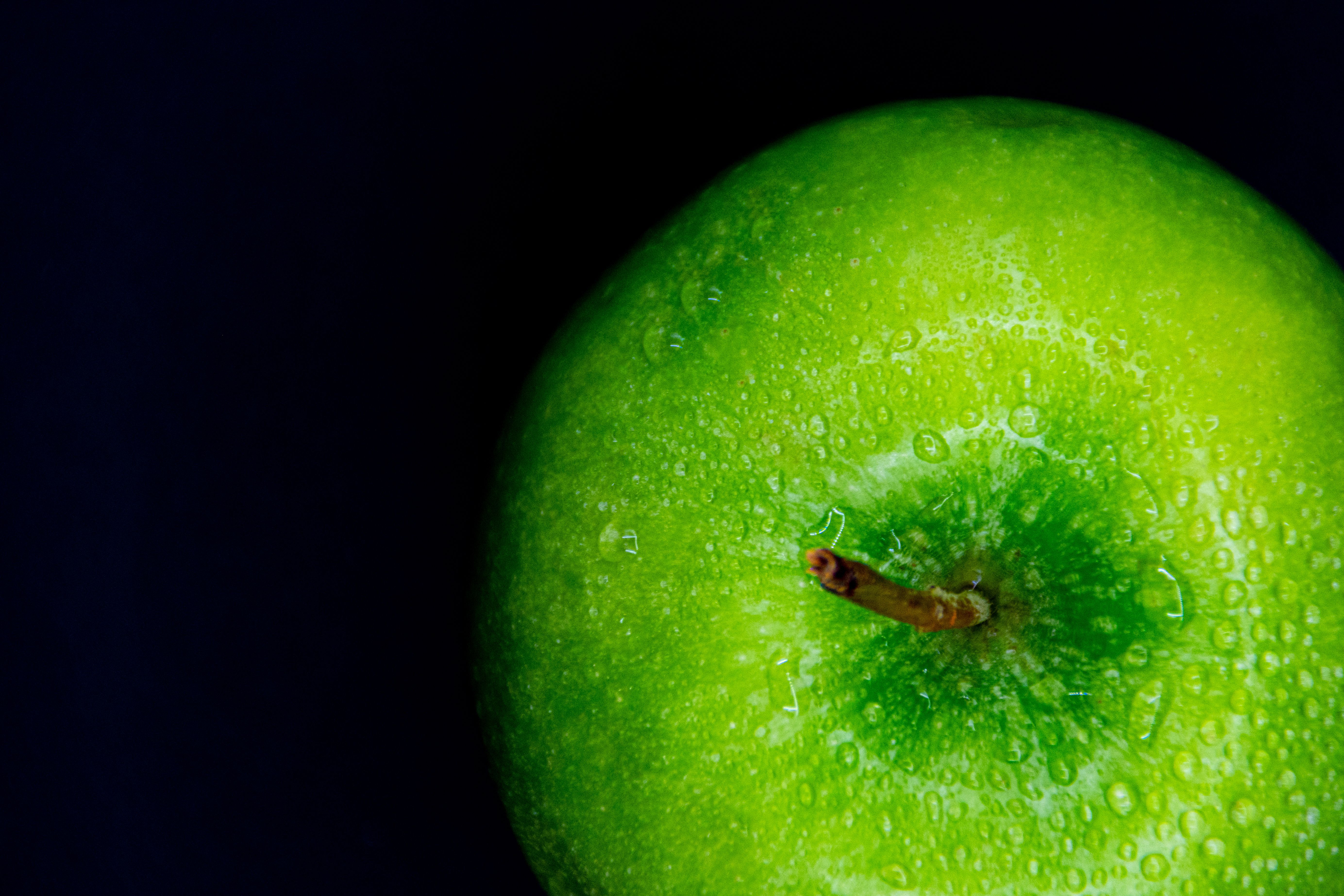 Glowing Apple Photos, Download The BEST Free Glowing Apple Stock Photos ...