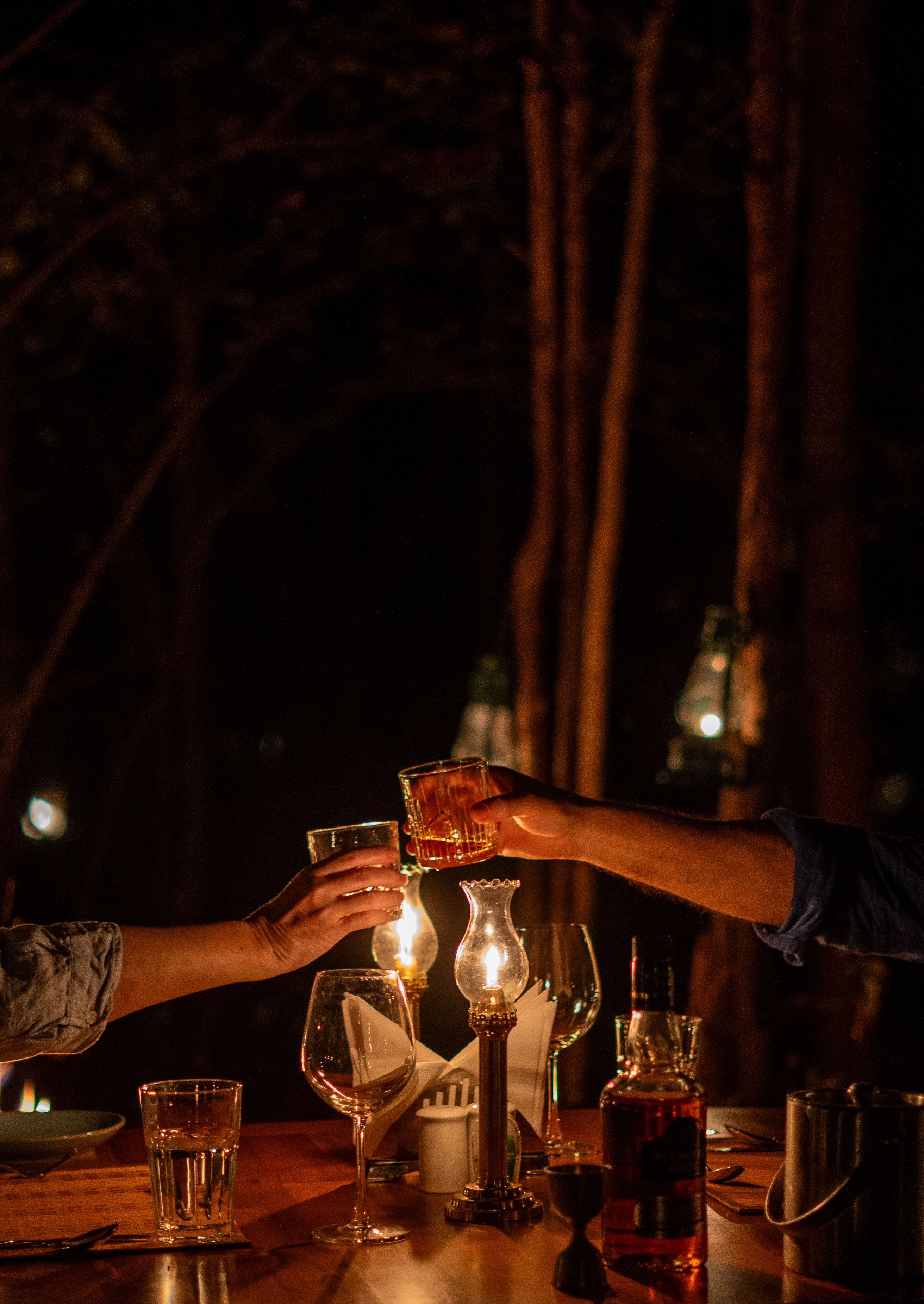 Cozy Evening Toast at a Woodland Dinner Party · Free Stock Photo
