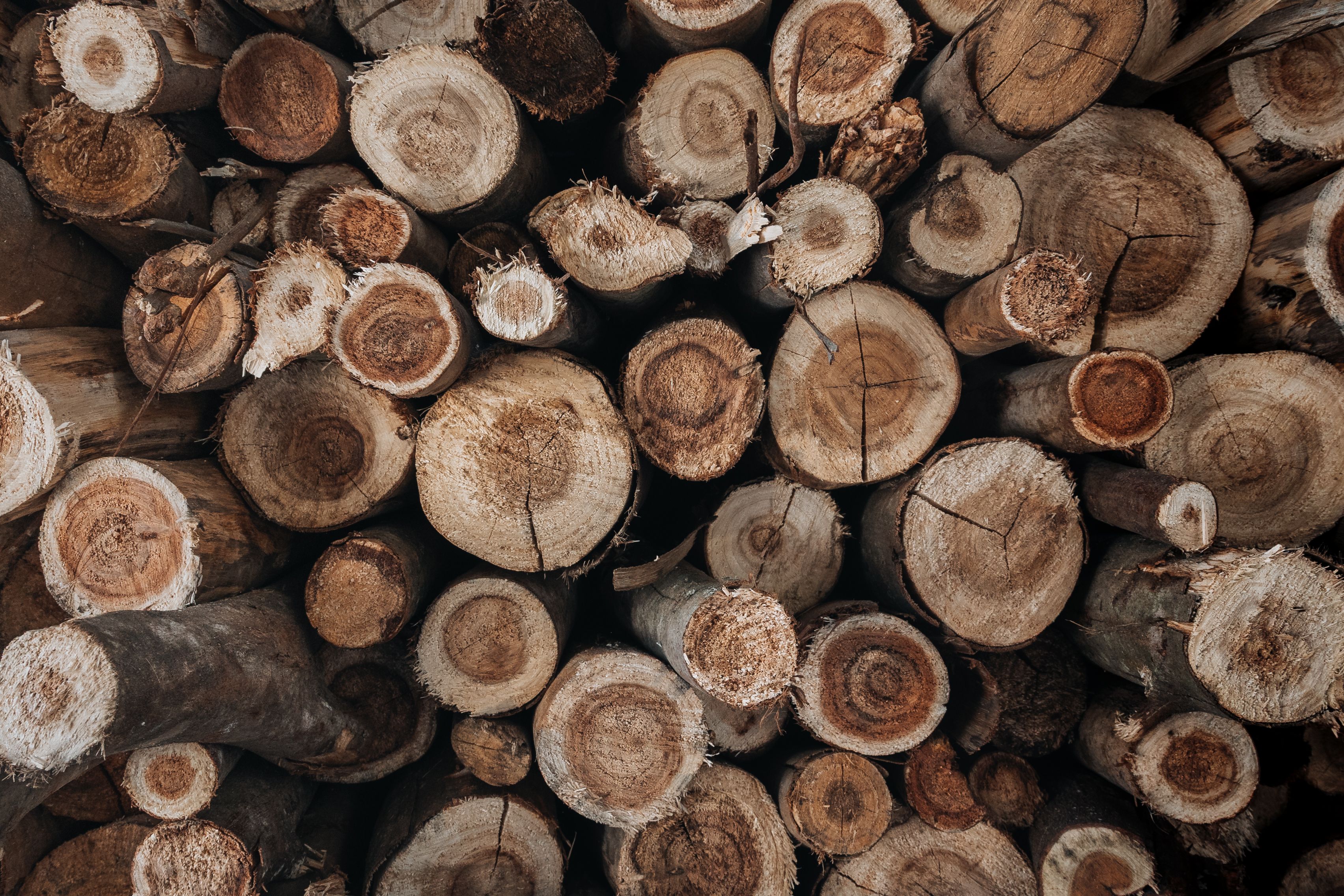 Close-Up of Stacked Natural Wooden Logs · Free Stock Photo