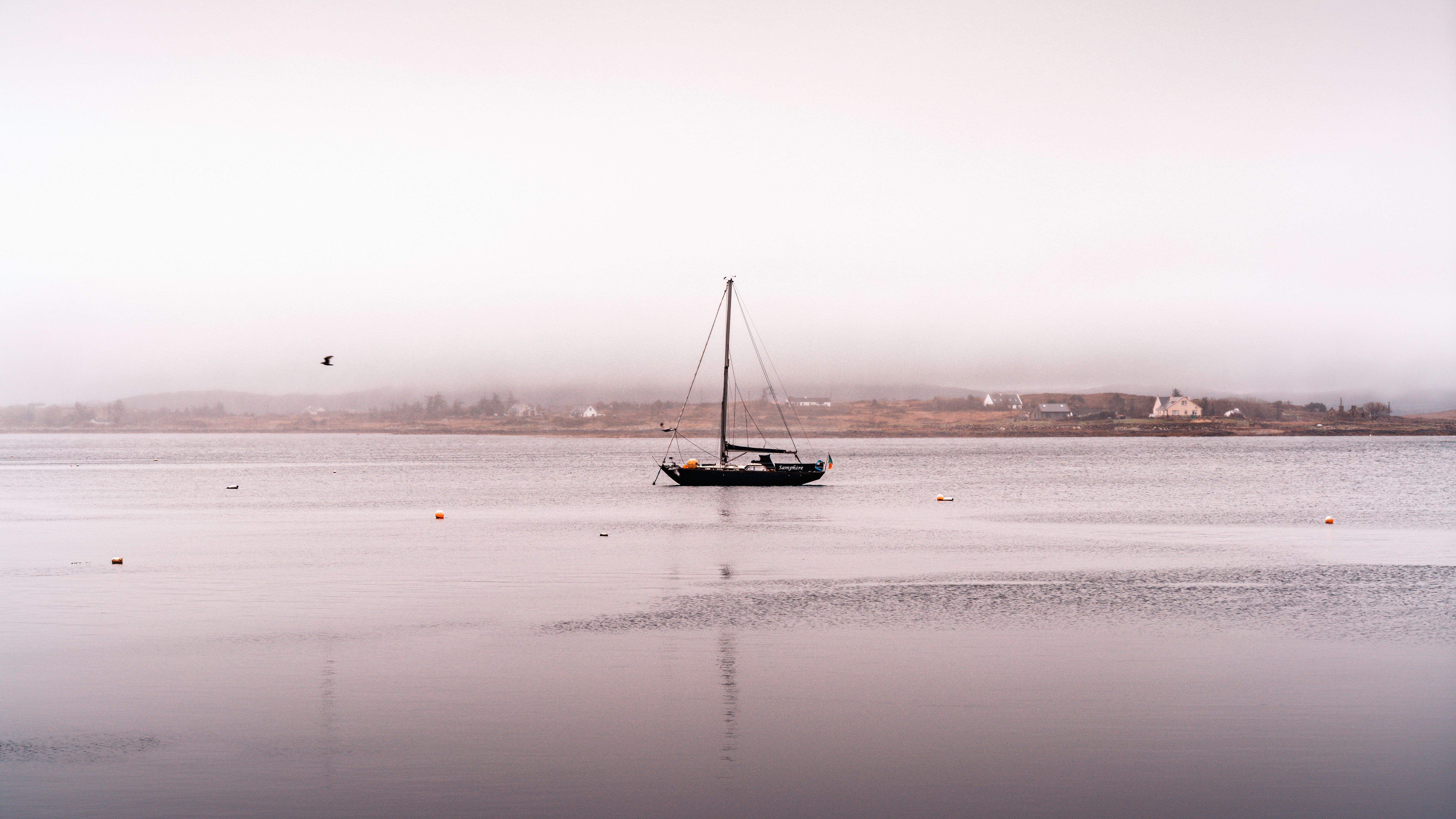 Serene Foggy Morning on Irish Coastline · Free Stock Photo