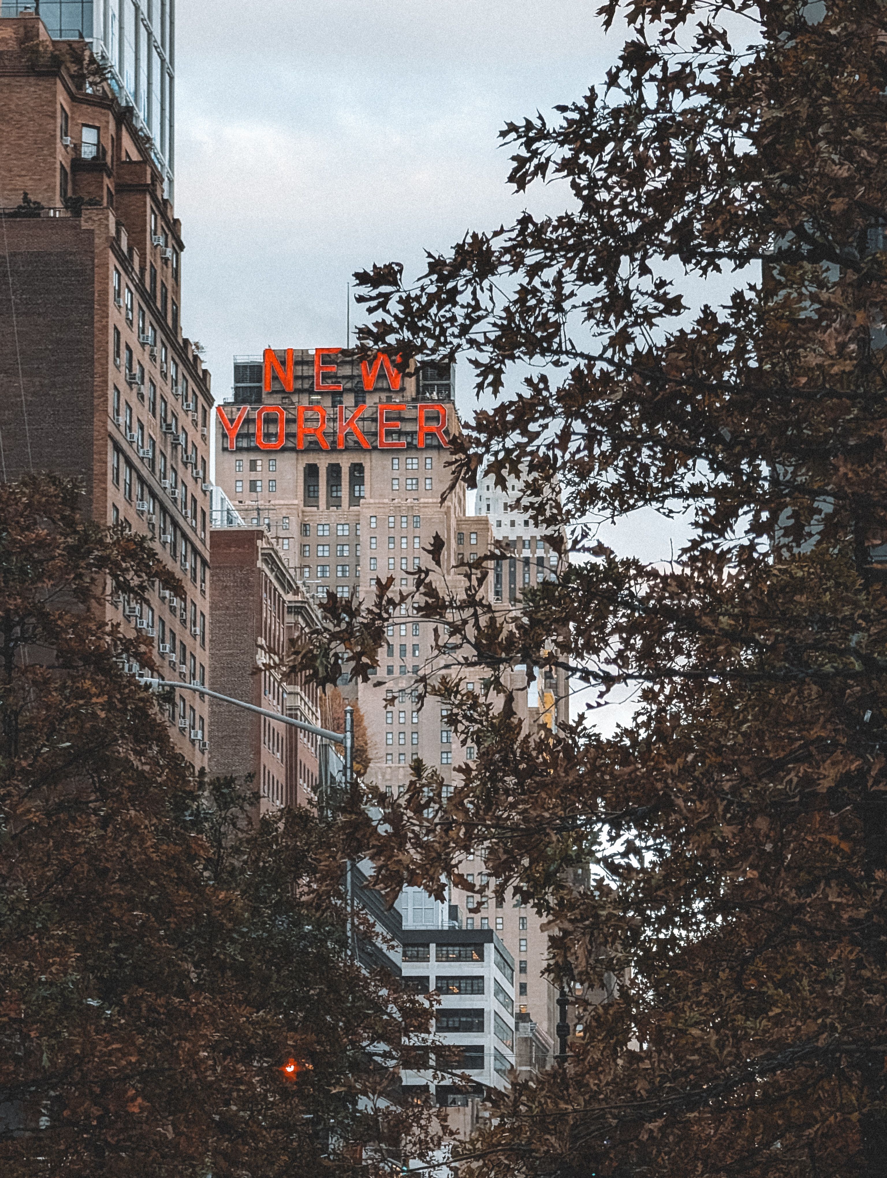 Iconic New Yorker Hotel Sign in Autumn · Free Stock Photo