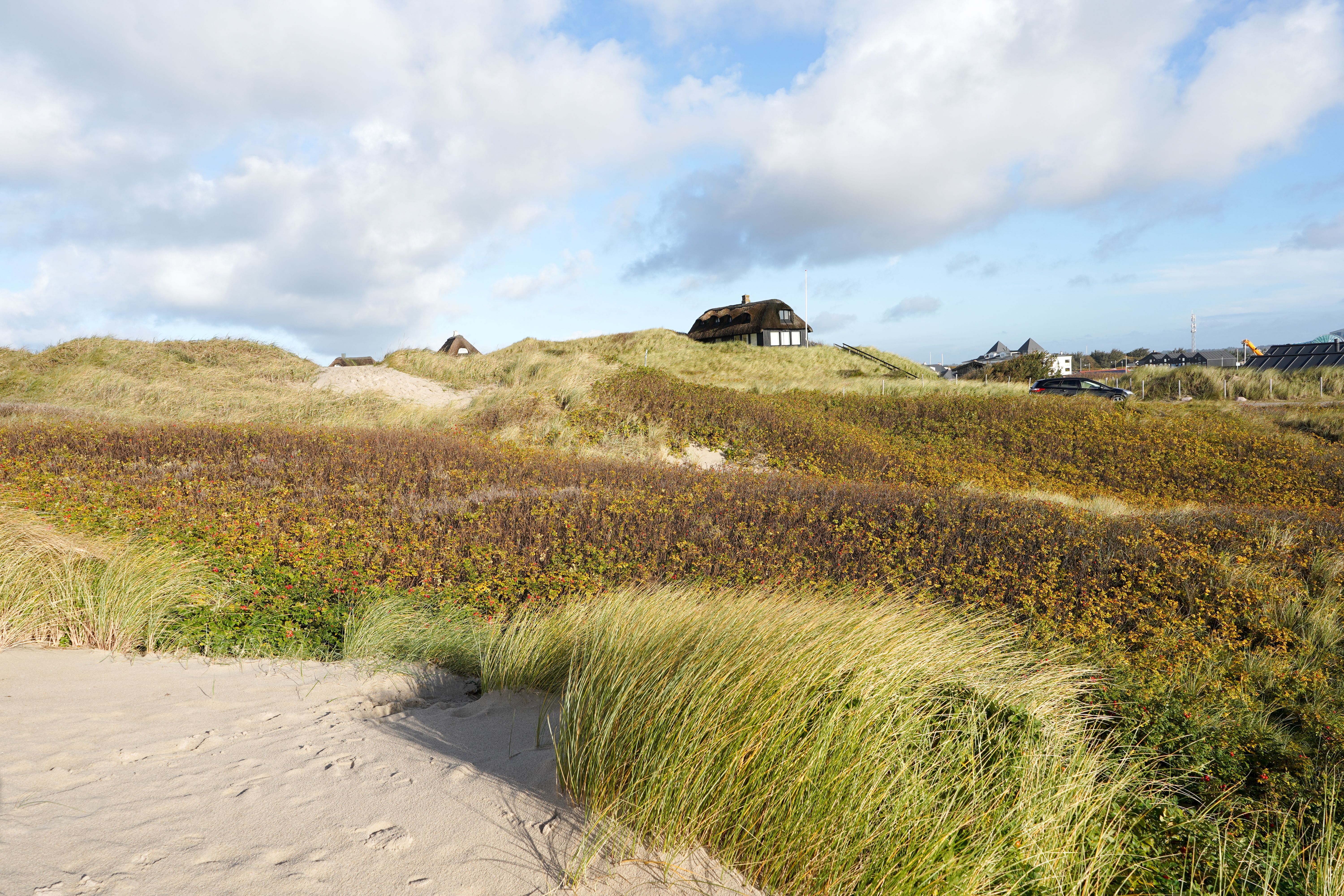 Idyllic Coastal Landscape in Søndervig, Denmark · Free Stock Photo