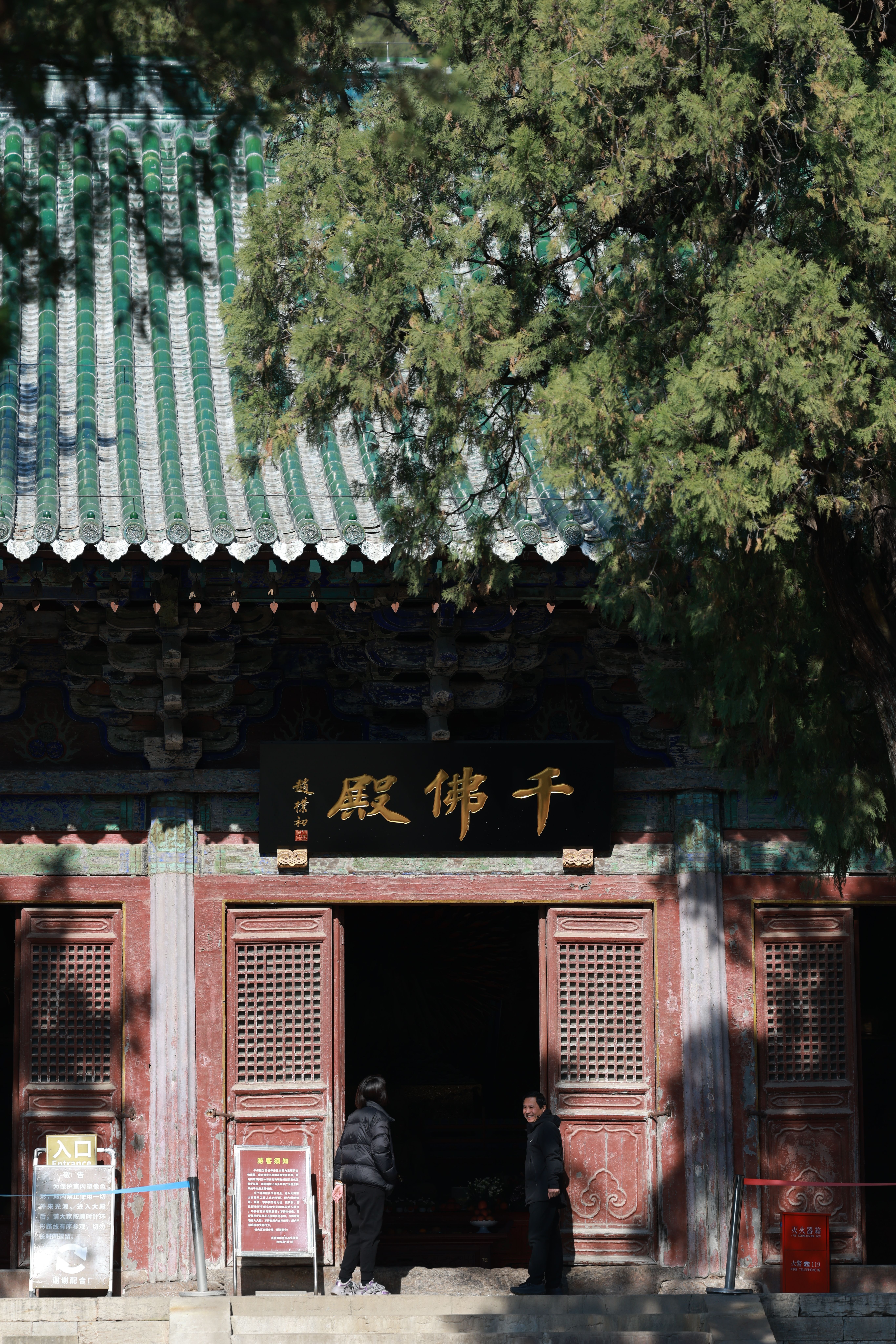 Lily+Doors+Logo Photos, Download The BEST Free Lily+Doors+Logo Stock ...