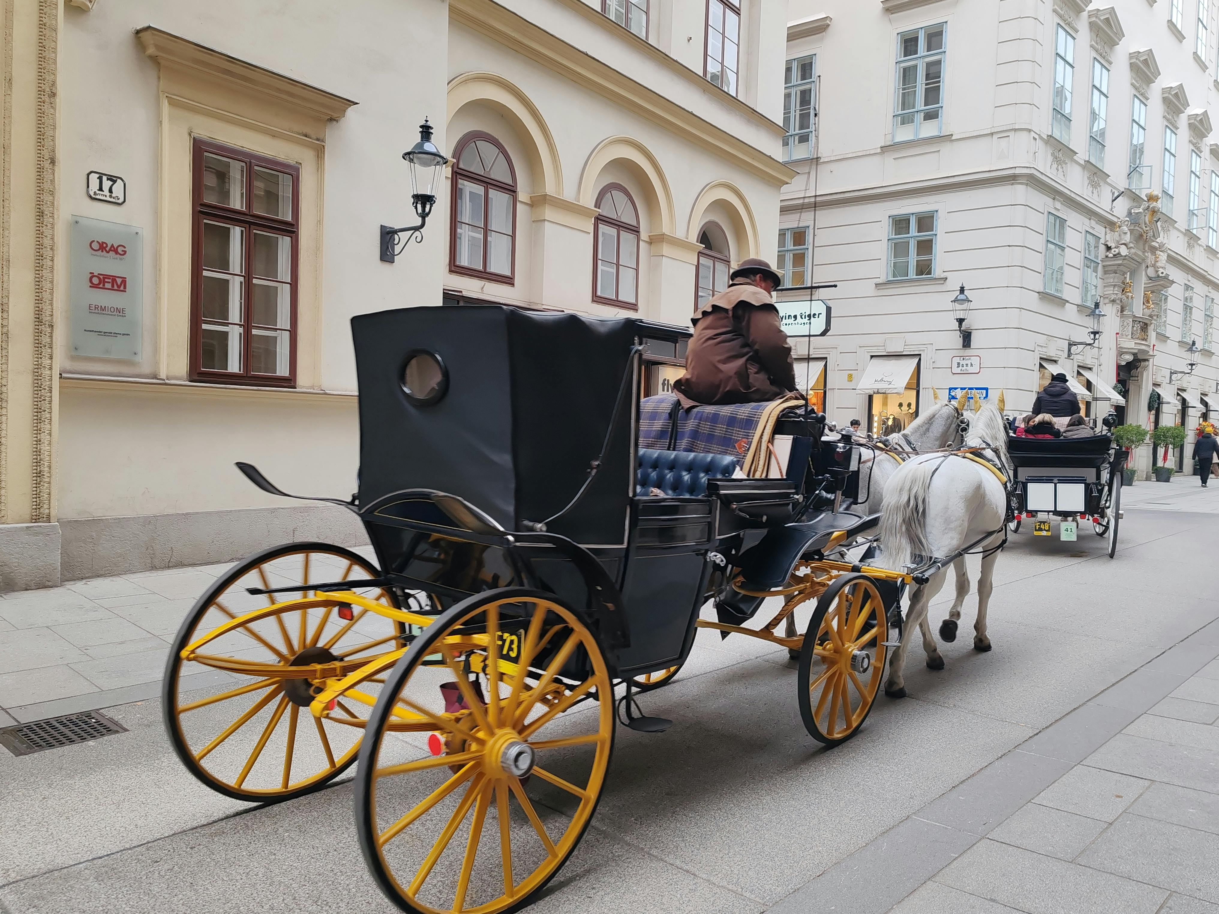 Wife+Rides+Didlo Photos, Download The BEST Free Wife+Rides+Didlo Stock ...