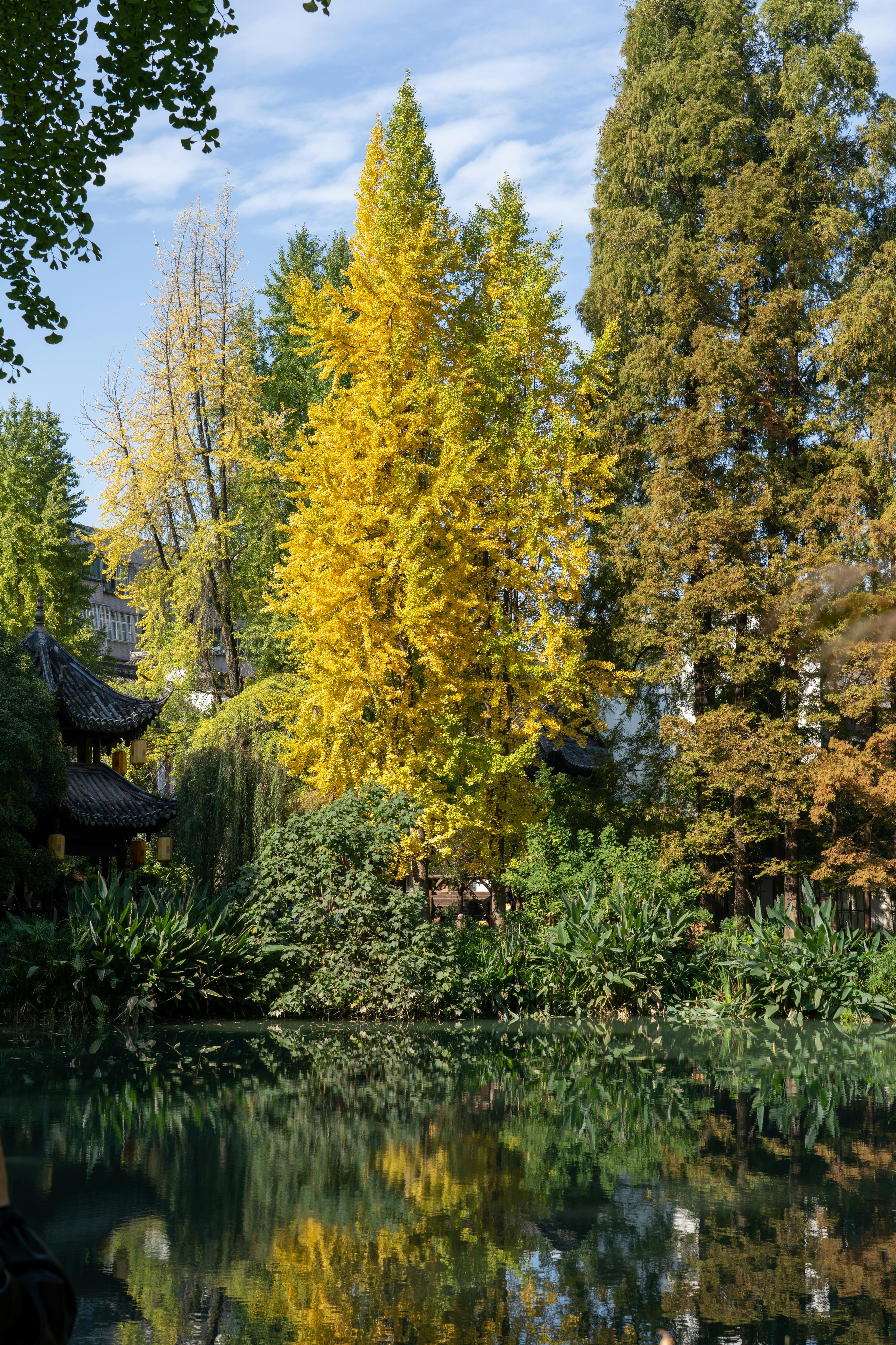 Garden Landscape Architecture Photos, Download The BEST Free Garden ...