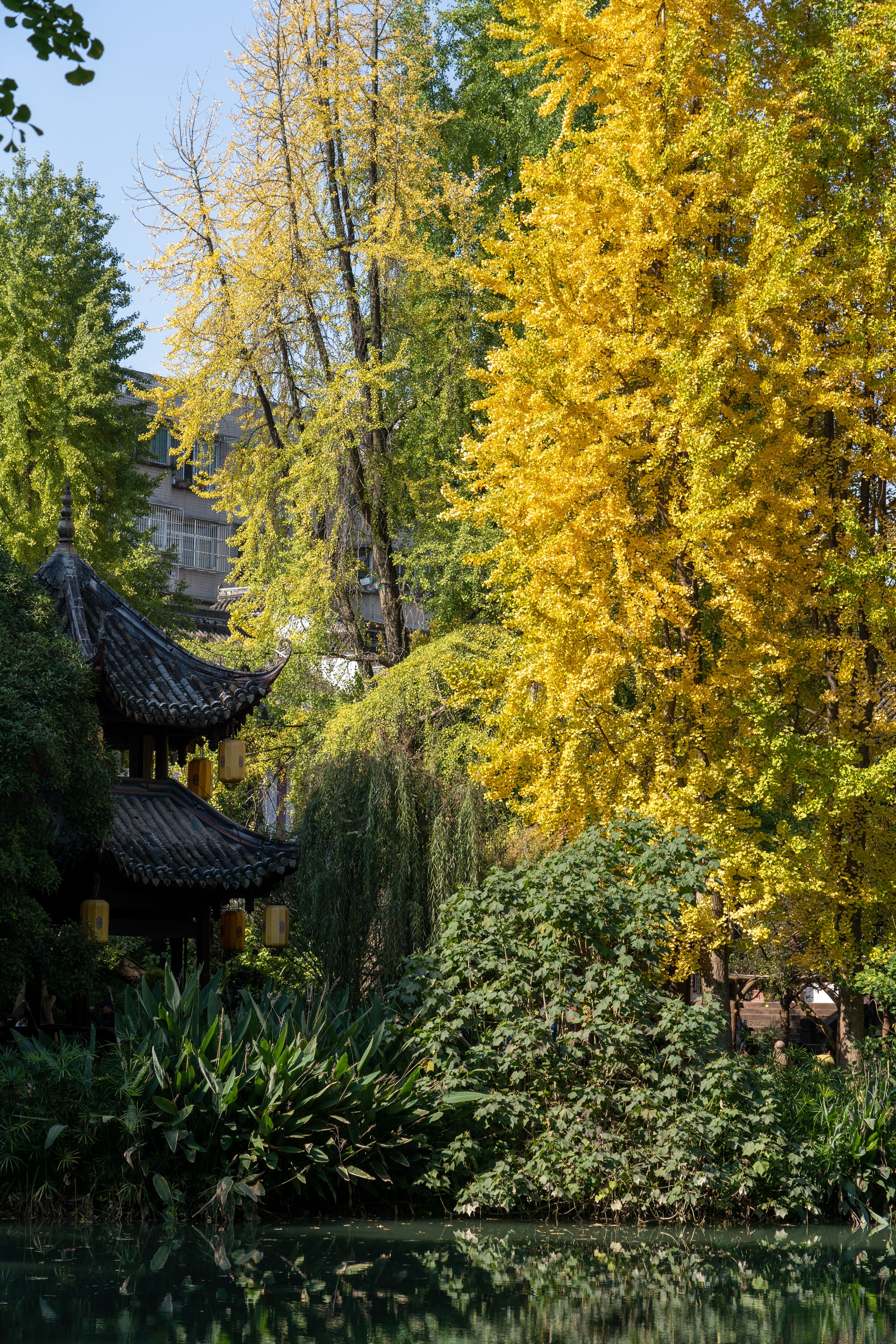 Colorful Landscape Photos, Download The BEST Free Colorful Landscape ...