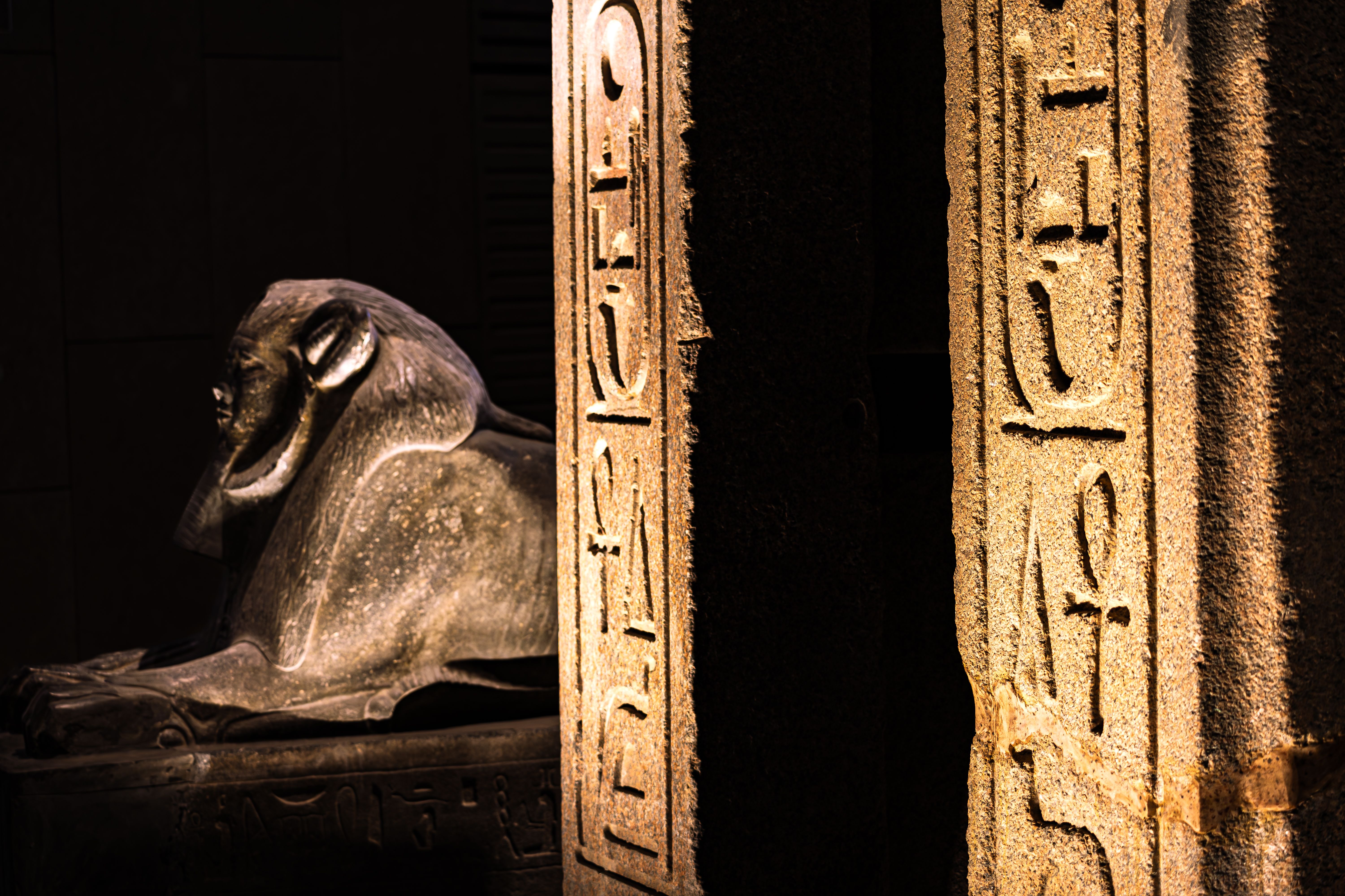 Ancient Egyptian Sphinx and Hieroglyphics in Museum Setting · Free ...