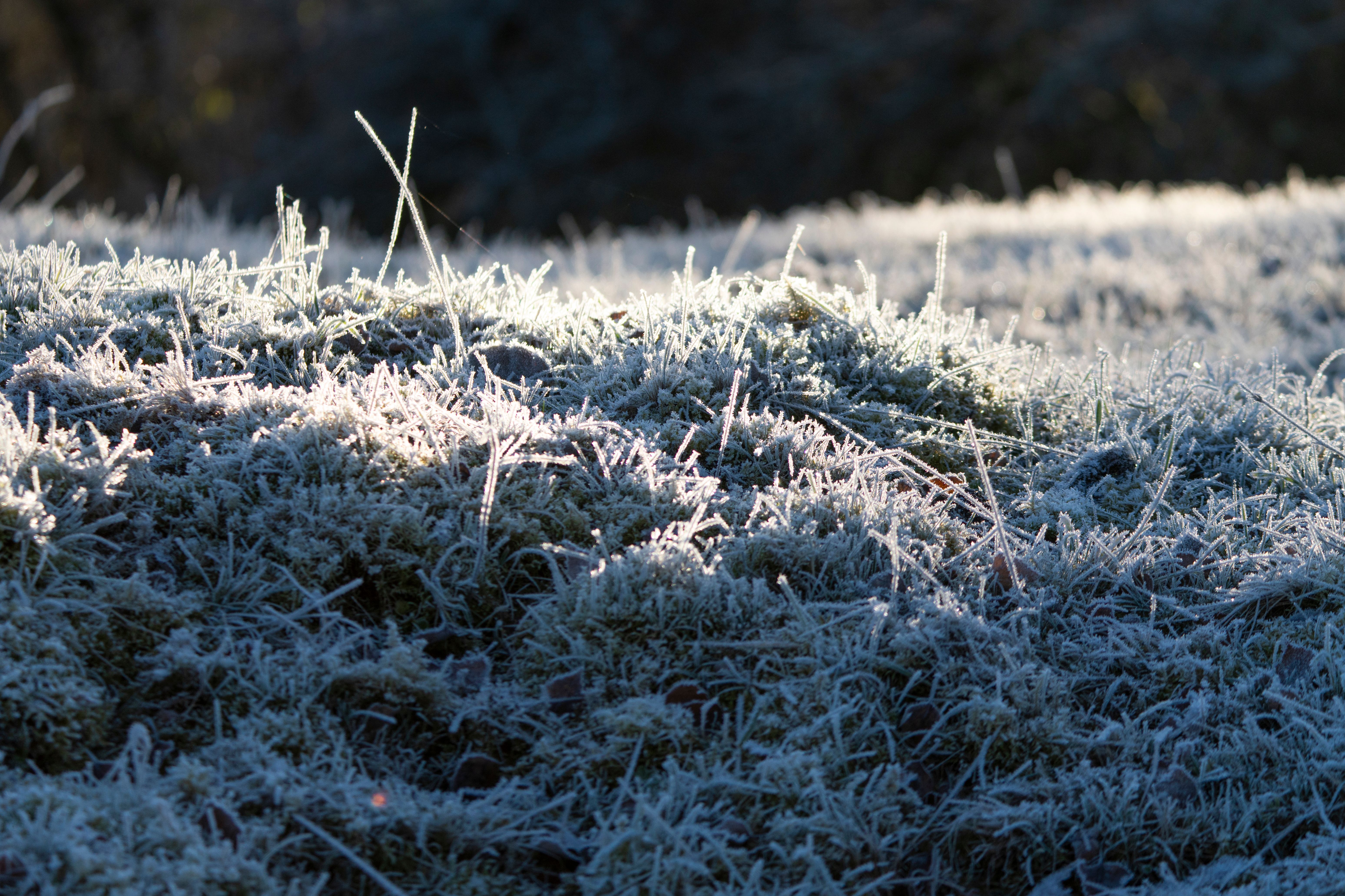 Frosty Weather Photos, Download The BEST Free Frosty Weather Stock ...
