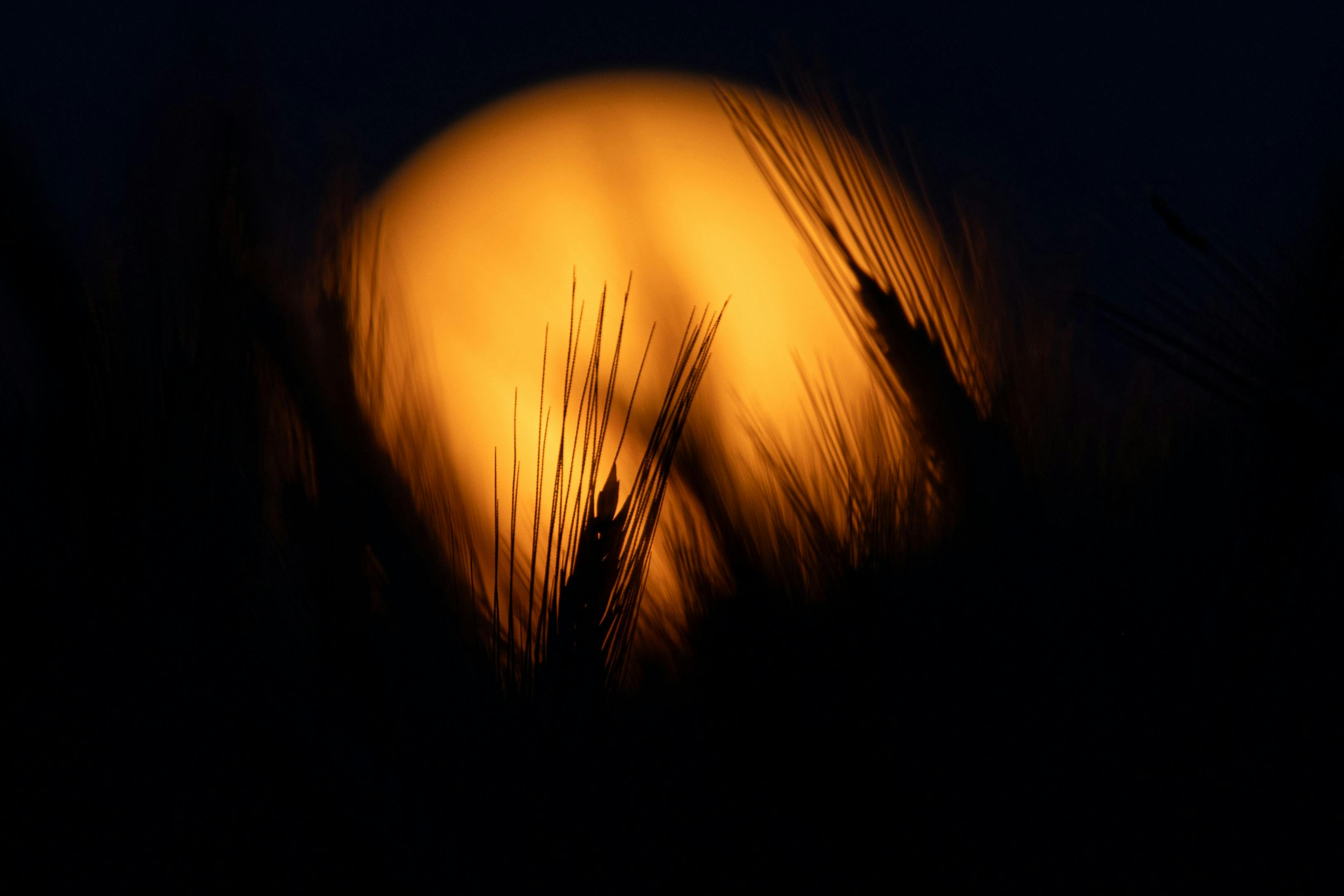 200.000+ Field Service Technician Bilder und Fotos · Kostenlos ...