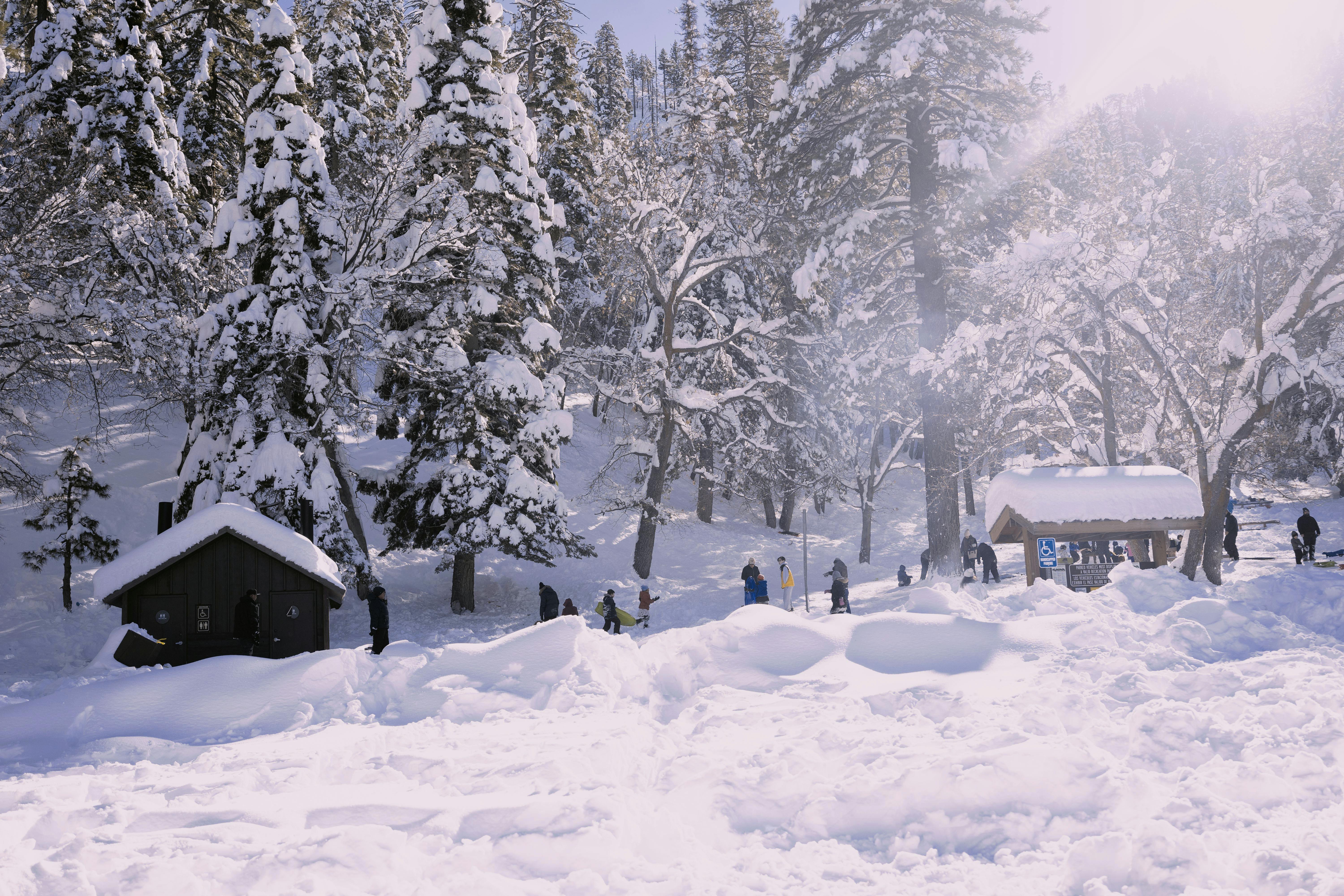 Foto de stock gratuita sobre blanco, invierno, nevar