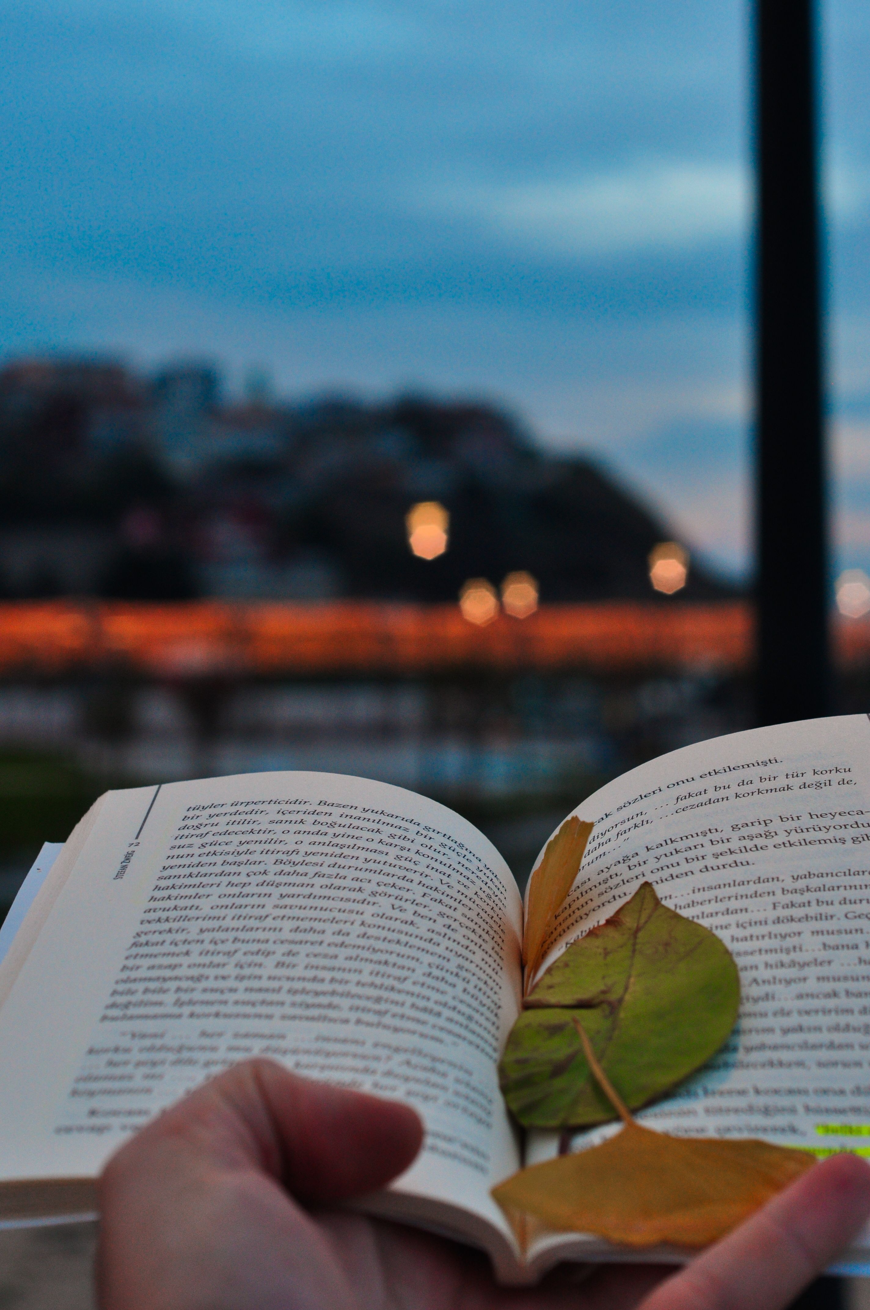 Reding Book Photos, Download The BEST Free Reding Book Stock Photos ...