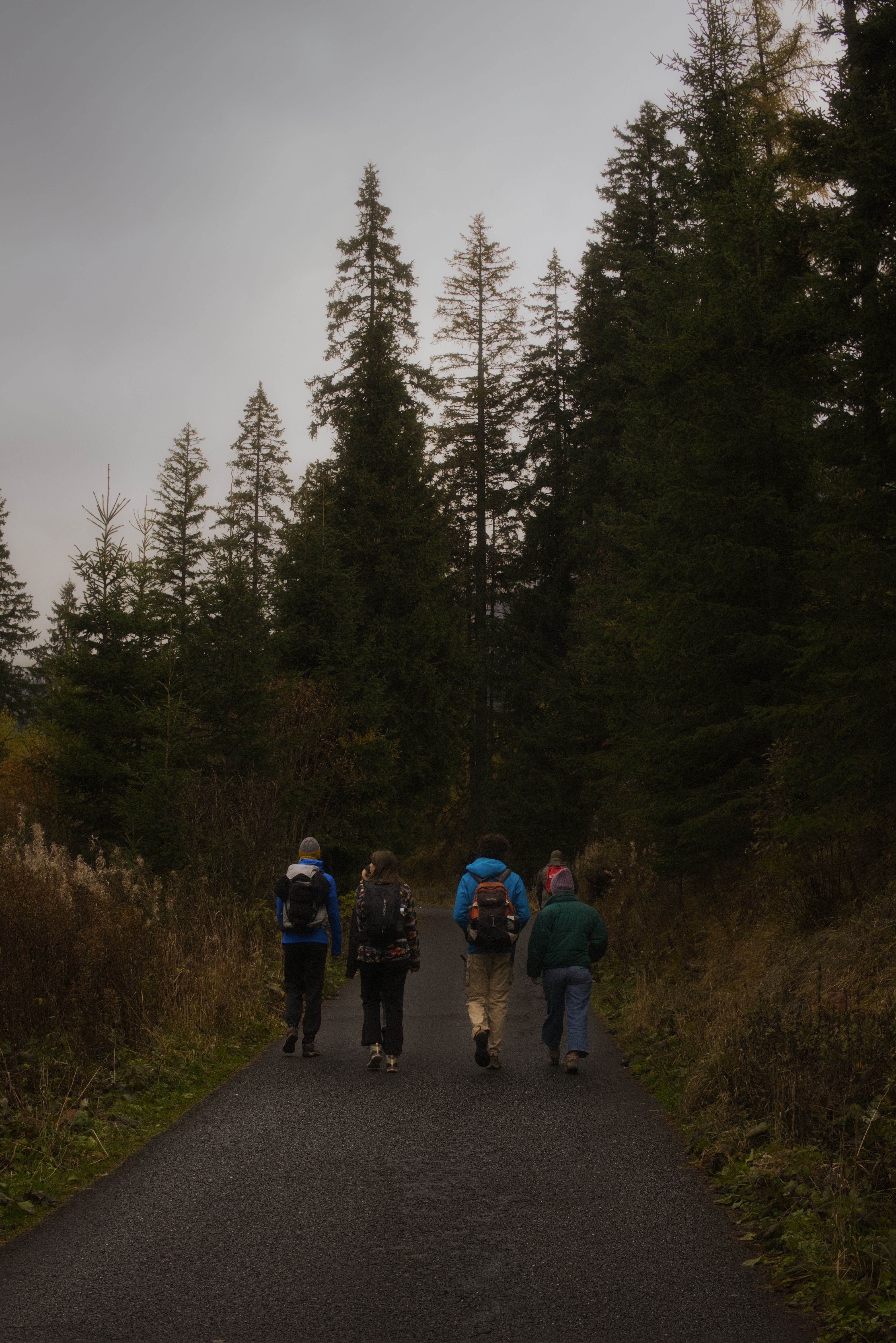 Adventure Photos, Download The BEST Free Adventure Stock Photos & HD Images