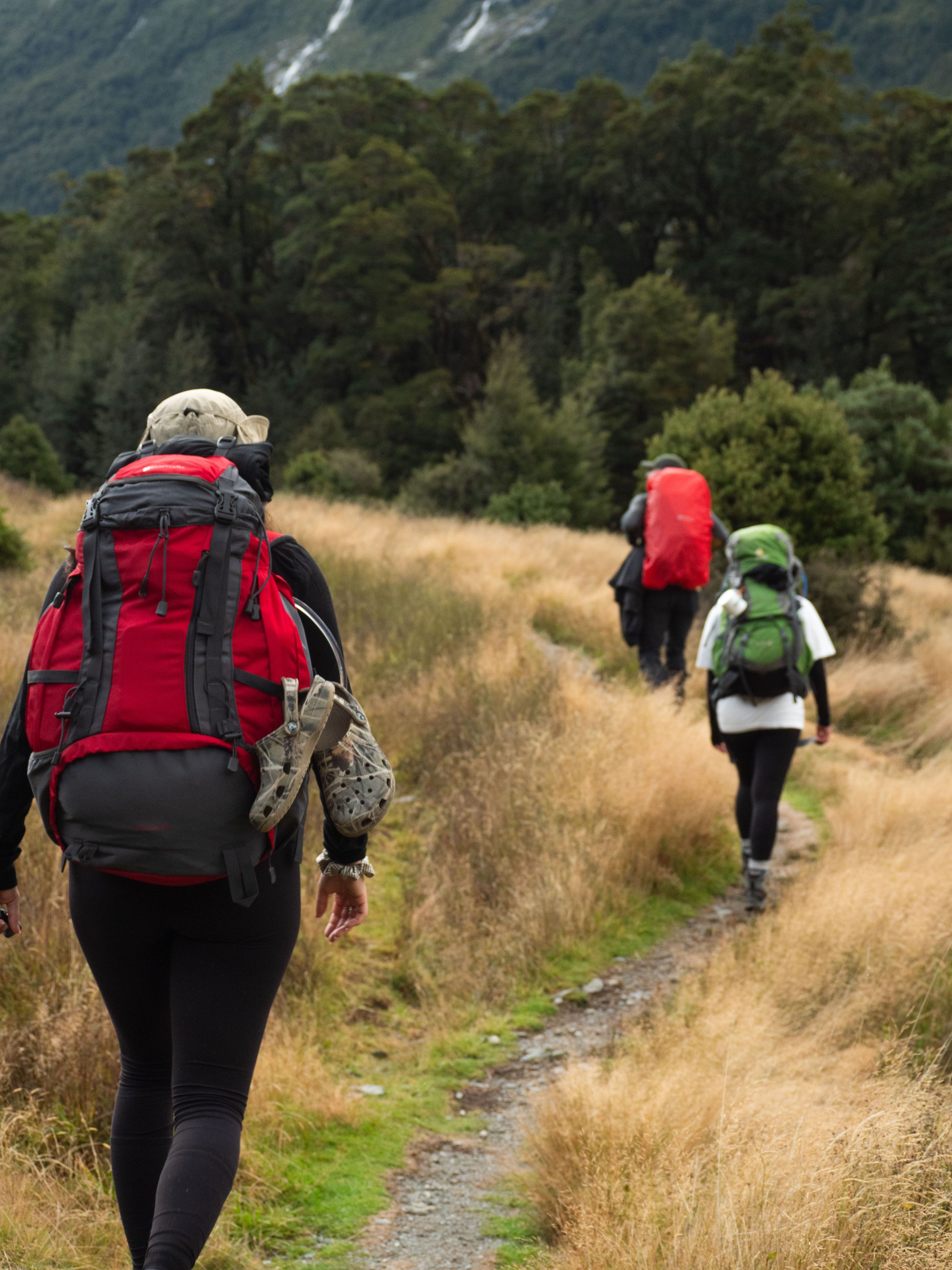 Hikers Traversing Trail in South Island, NZ · Free Stock Photo
